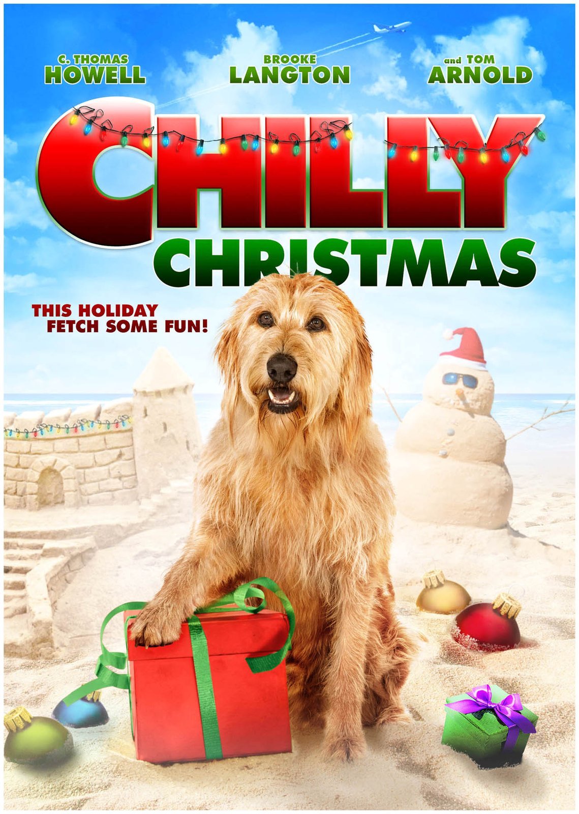 Amazon.com: Chilly Christmas : Tom Arnold, C. Howell, Brooke Langton ...