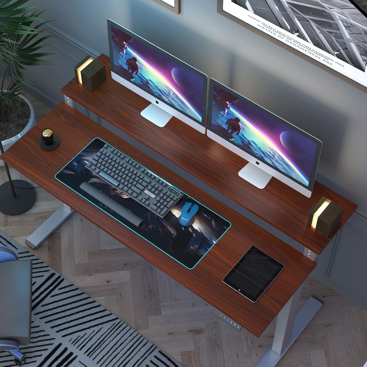 Buy FLEXISPOT EF1 Essential 2 Tier Standing Desk 55x28 Electric Height Adjustable Computer Desk ...