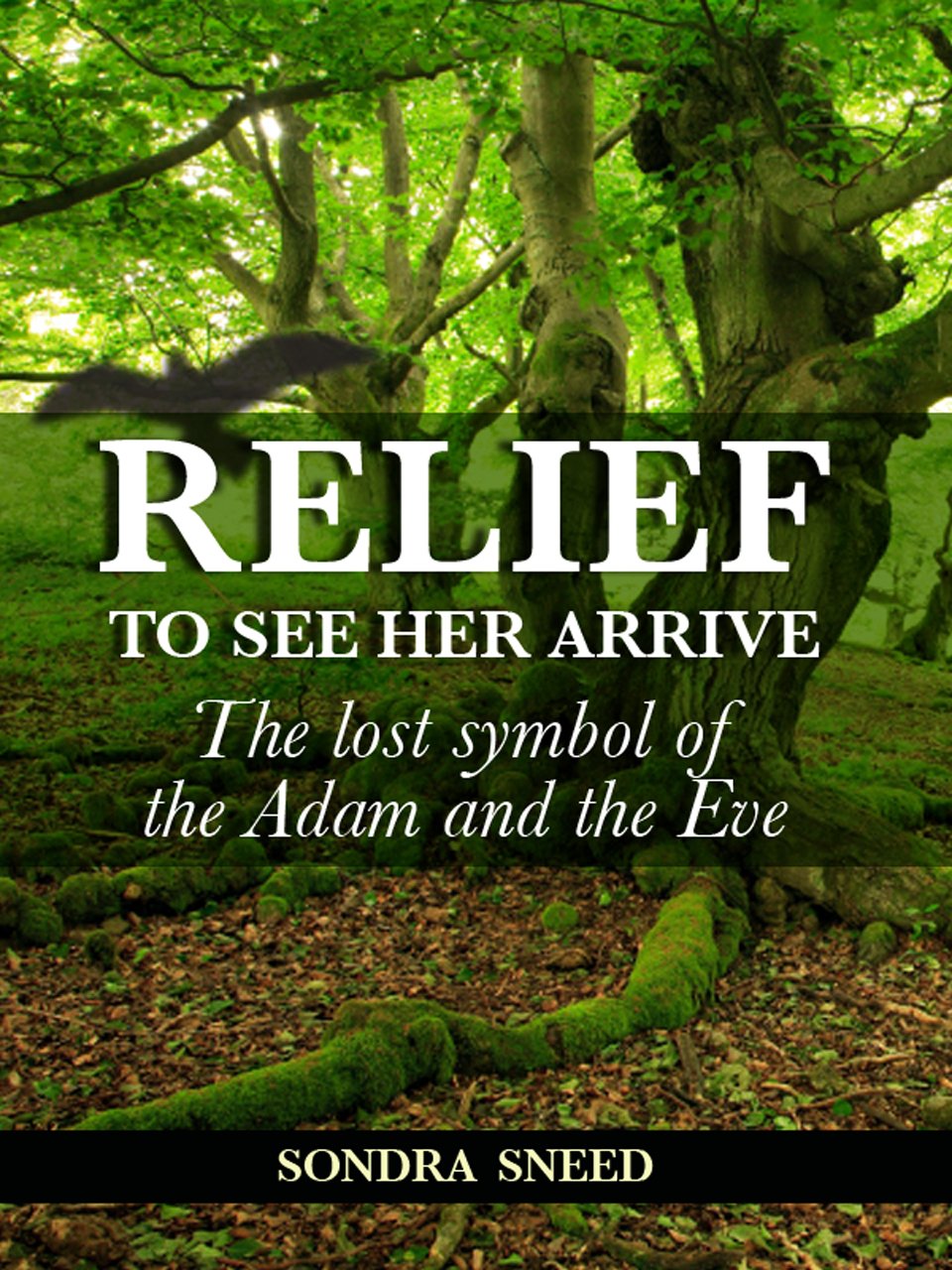 Relief to See Her Arrive: The lost symbol of the Adam and the Eve ...