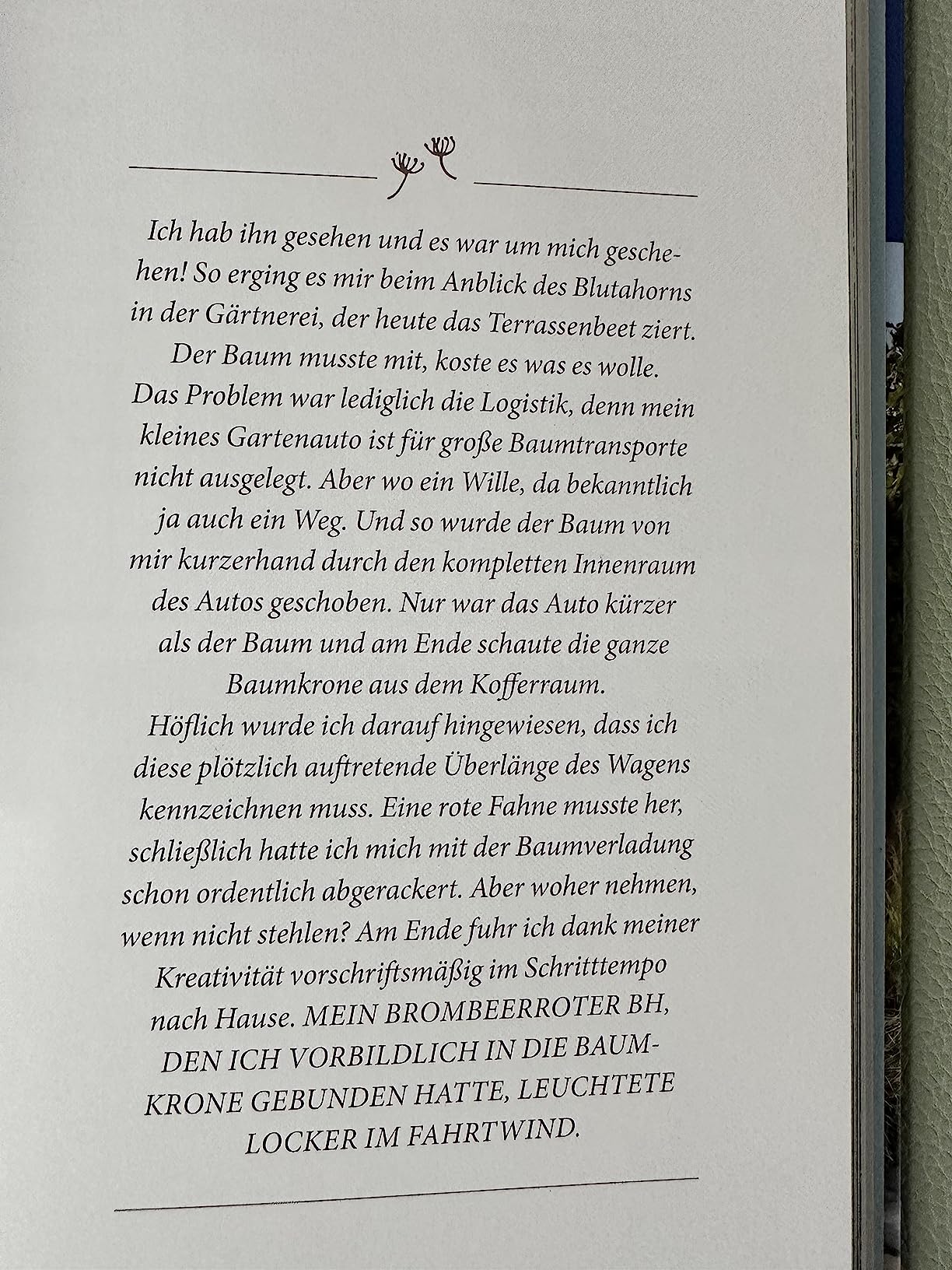 Klotzen statt kleckern: Gartengestaltung mit @katrinsgarten : Iskam ...