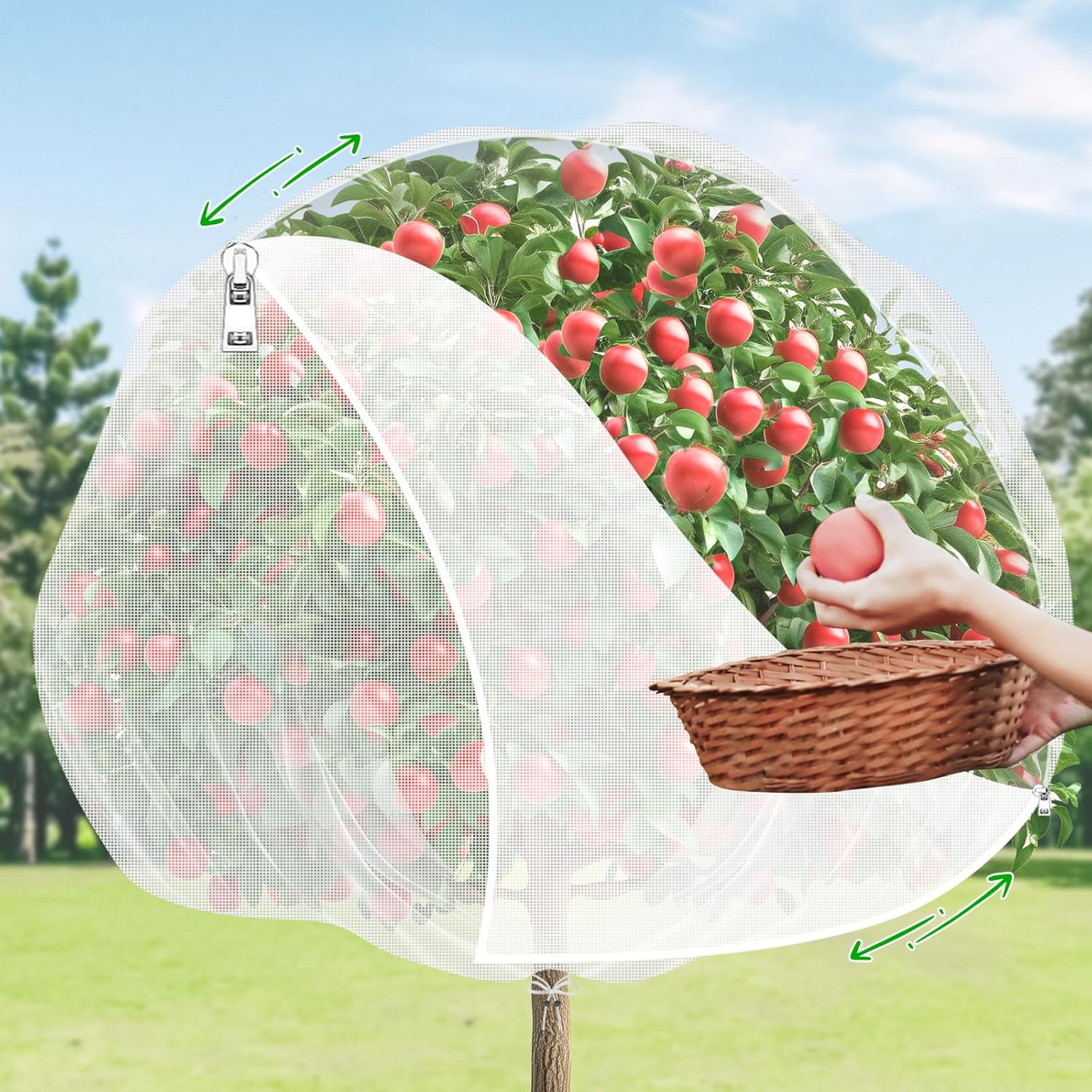 Amazon.com : Fruit Tree Netting with 2-Way Zipper & Drawstring - 6.4Ft x 6.4Ft Garden Plant Net ...