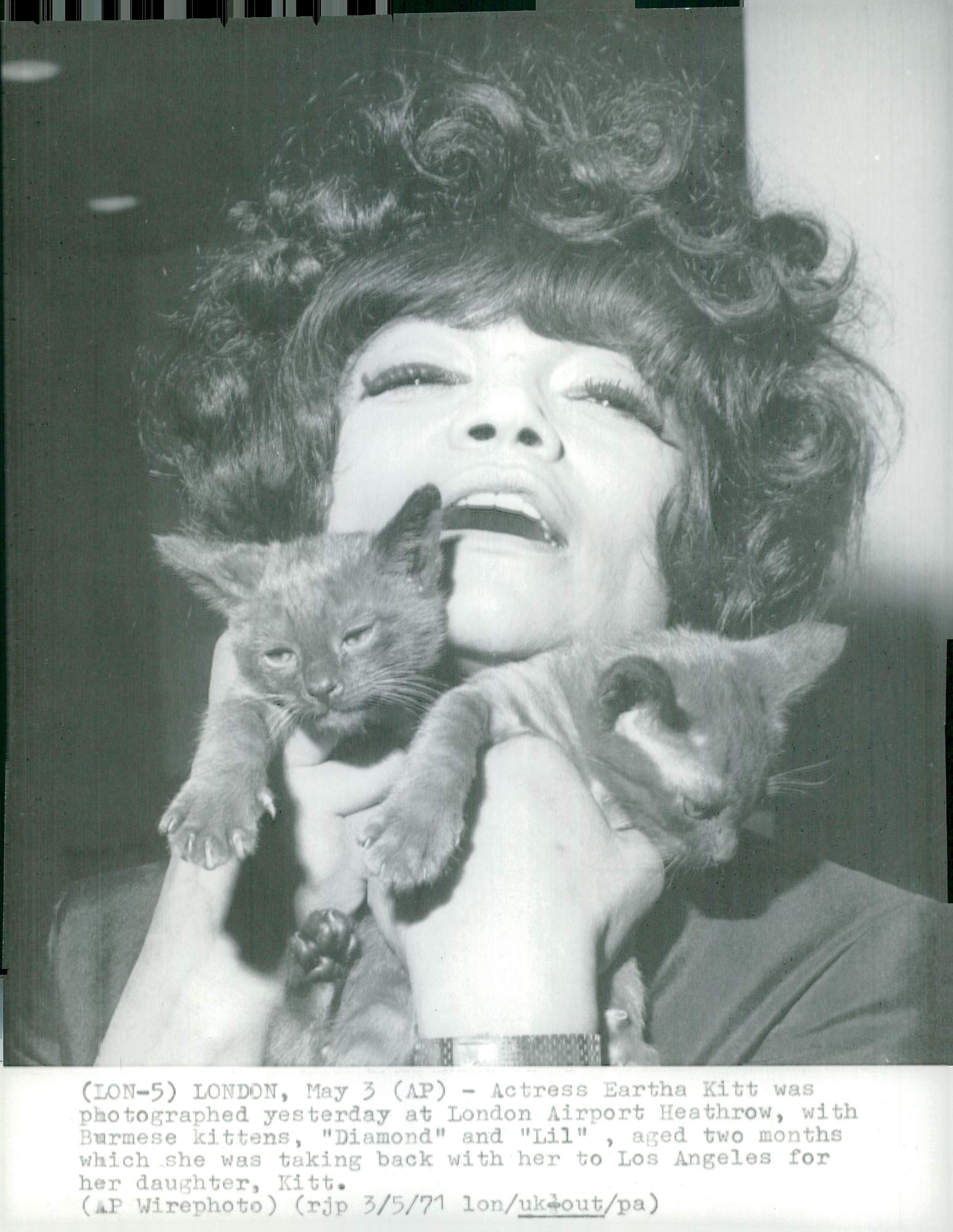 Eartha Kitt Cat