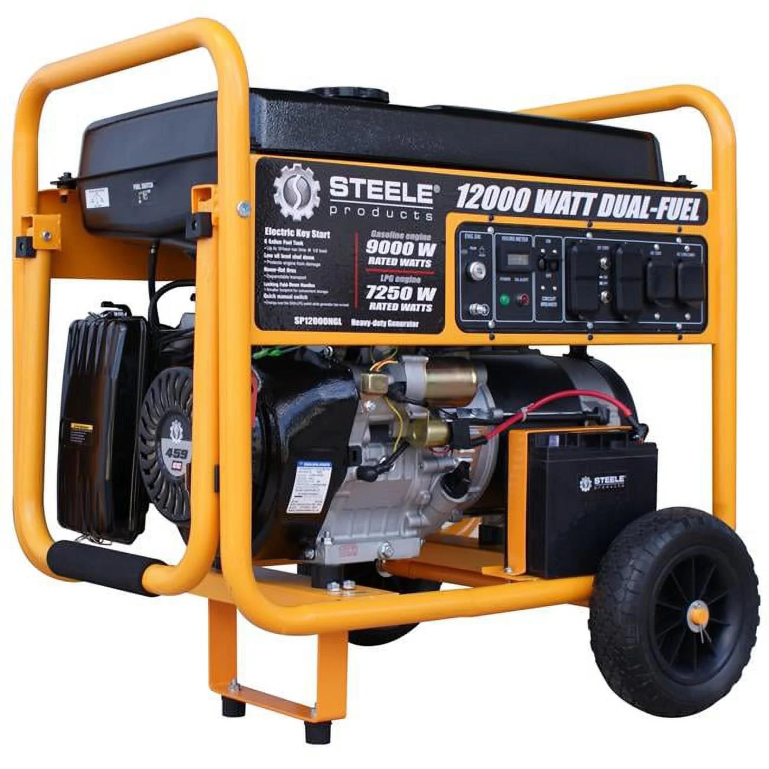 12 000w Dual Fuel Generator | Desertcart INDIA