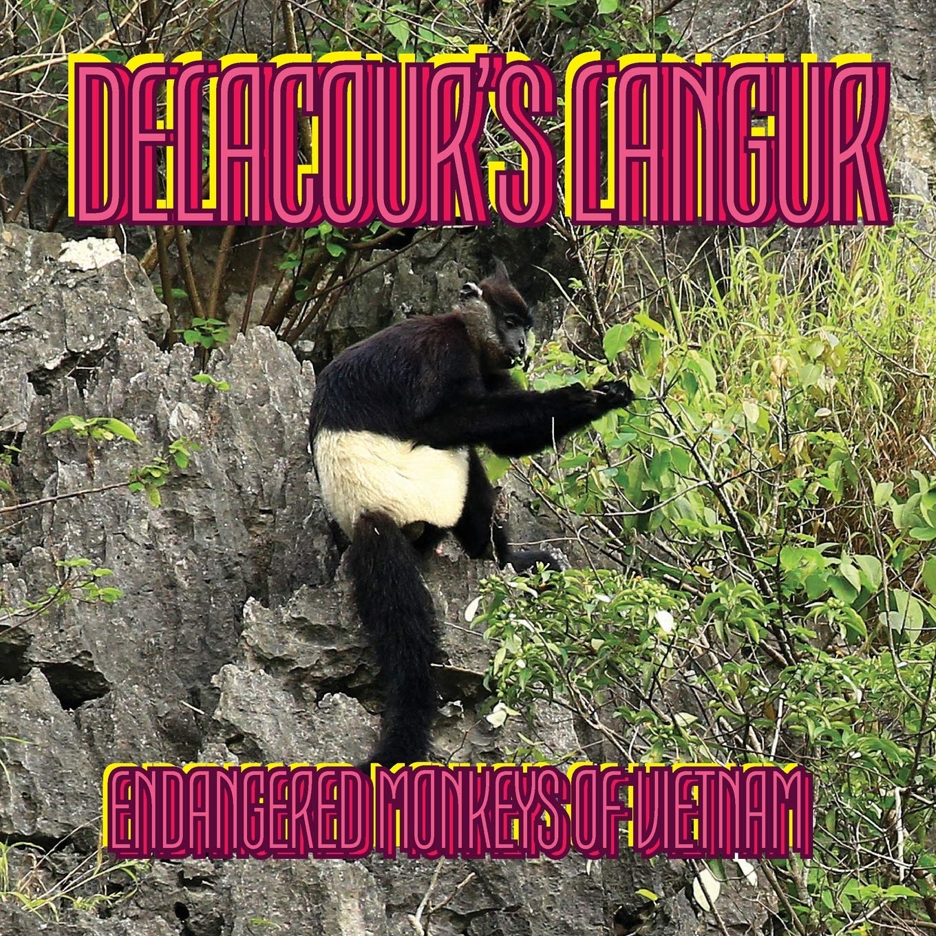 Buy Delacour's Langur Endangered Monkeys of Vietnam: One of the world's ...