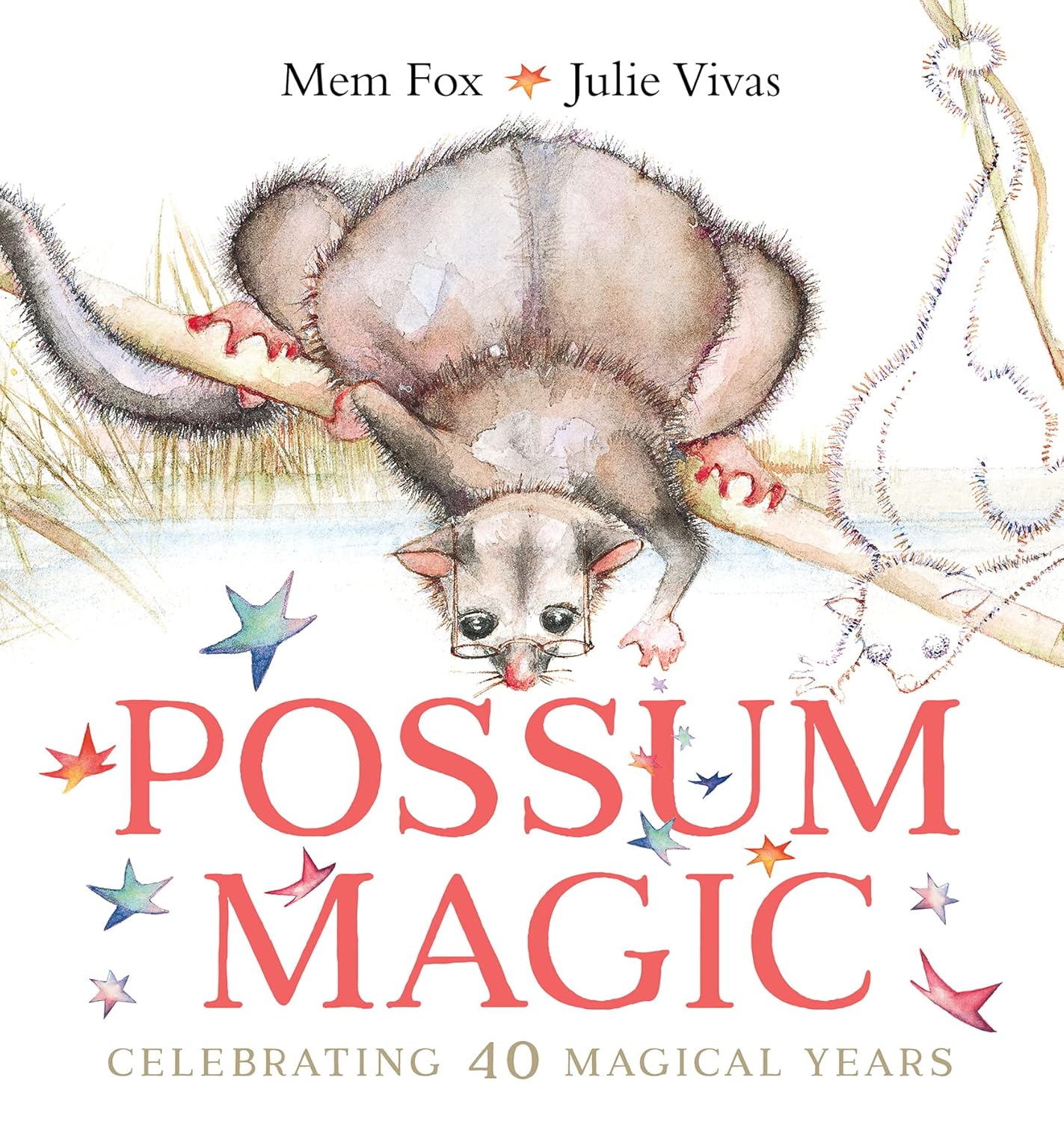 Possum Magic (40th Anniversary Edition) : FOX MEM, Vivas, Julie: Amazon ...