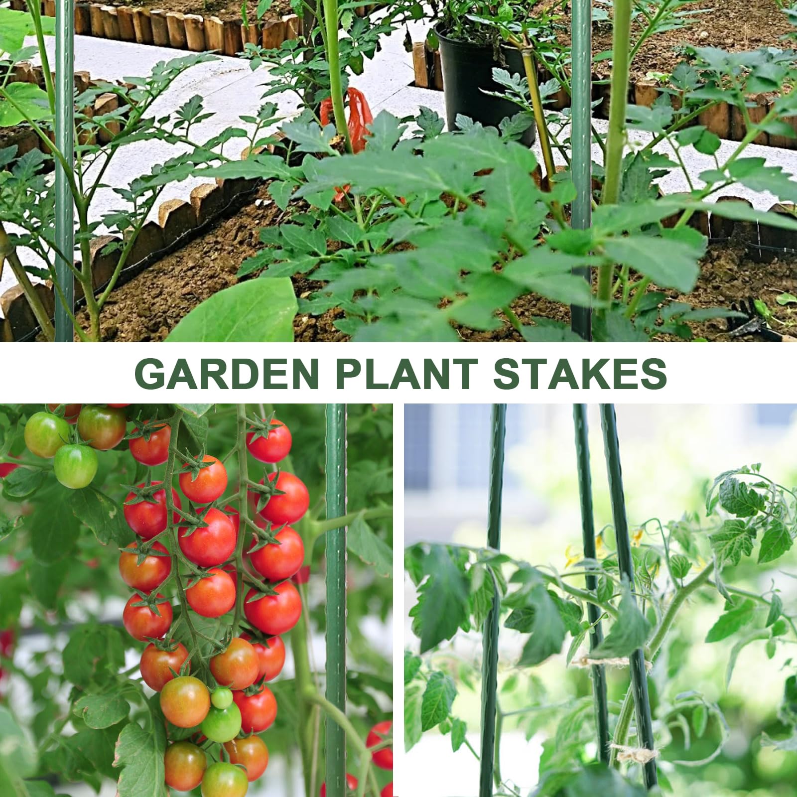 Snapklik.com : EAPFCT Garden Stakes Plastic Coated Steel Plant Support ...