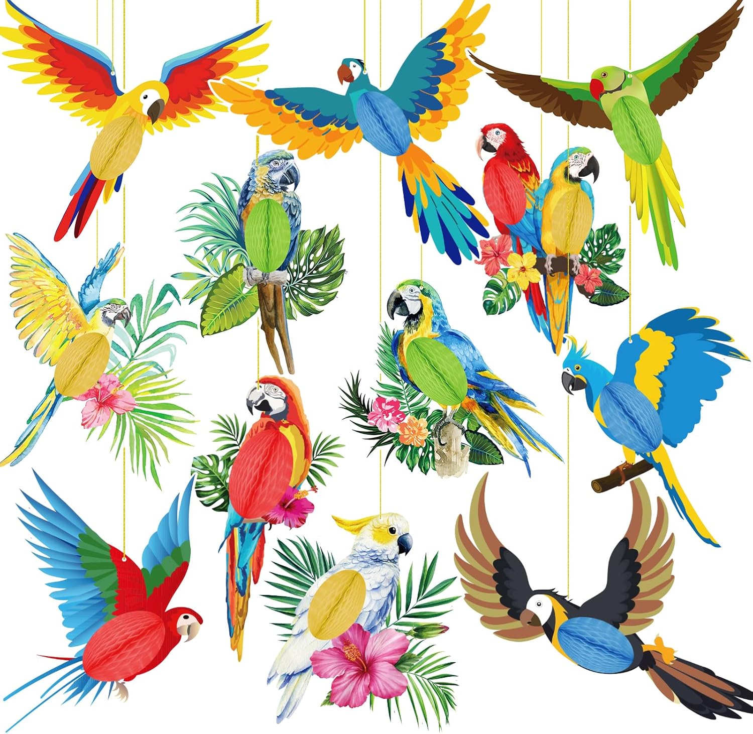 Amazon.com: 12 Pieces Tropical Birds Honeycomb Parrot Paper Cutouts ...
