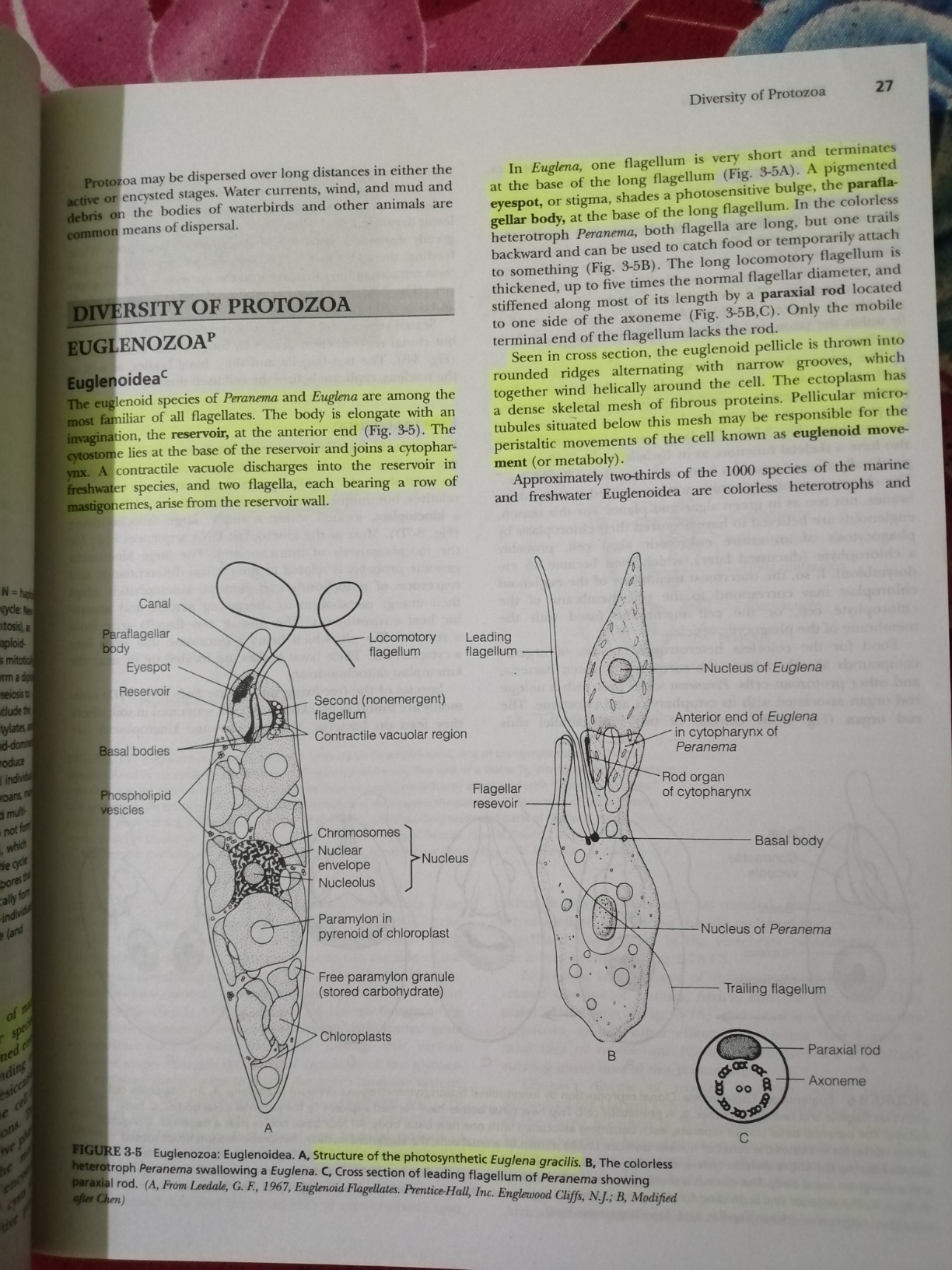 Buy INVERTEBRATE ZOOLOGY: A FUNCTIONAL EVOLUTIONARY APPROACH, 7TH EDN ...