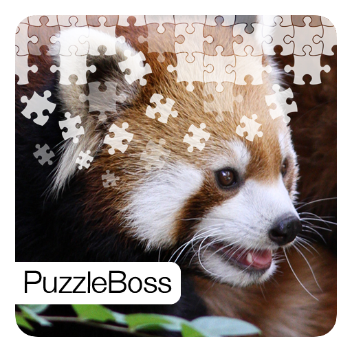 Red Panda Jigsaw Puzzles - App on Amazon Appstore