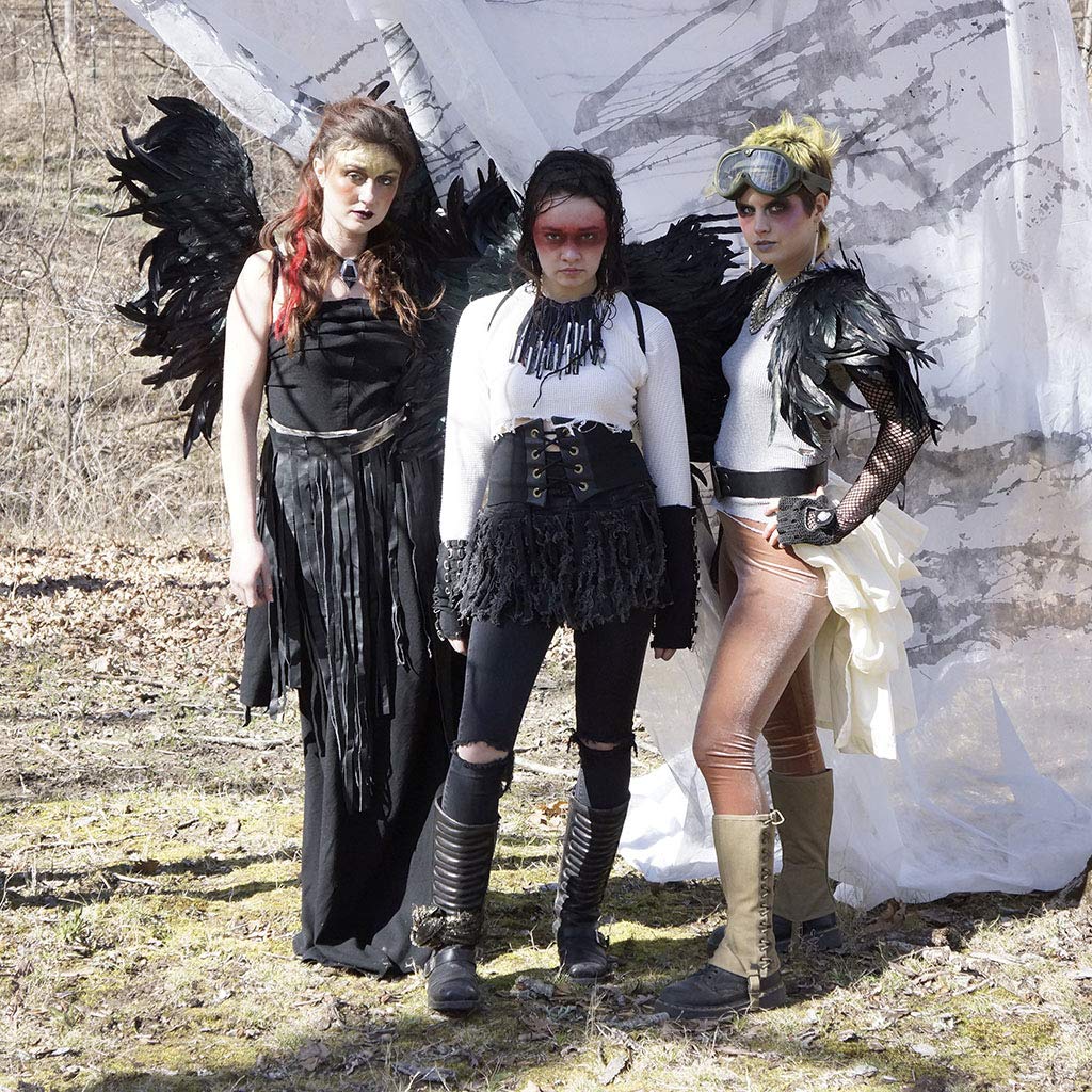 Black Bird Wings Costume