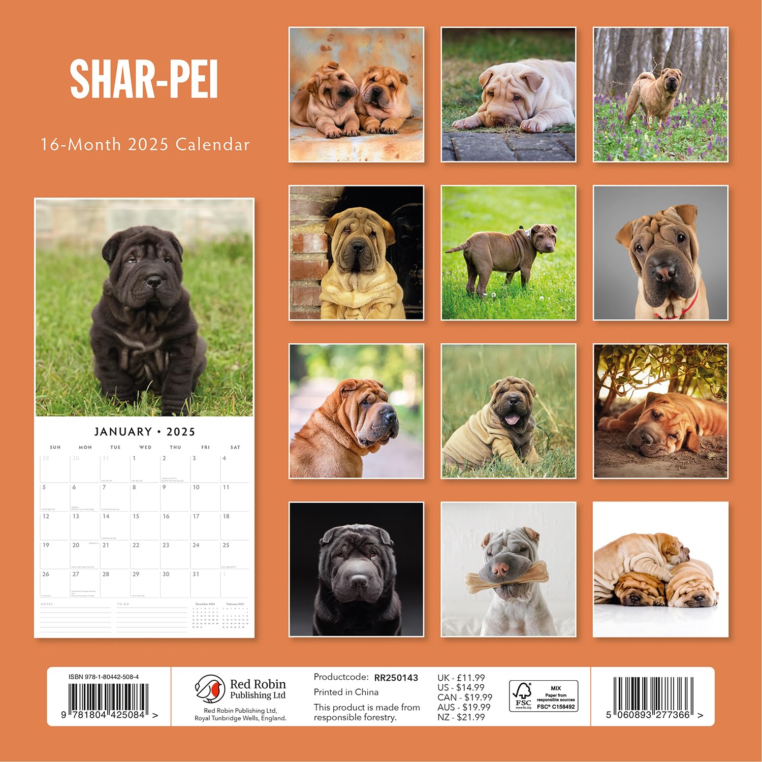 Shar-Pei – 2025 Square Wall Calendar – by Red Robin Publishing – BigaMart