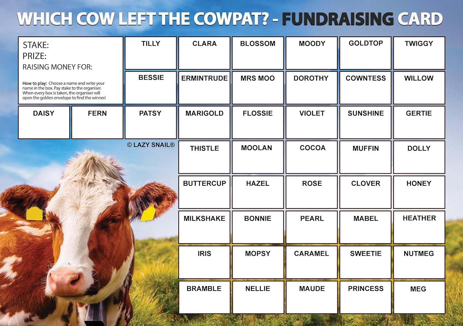 Lazy Snail ‘Which Cow Left the Cowpat?’ Fundraising Cards Pack 8 (A4 ...