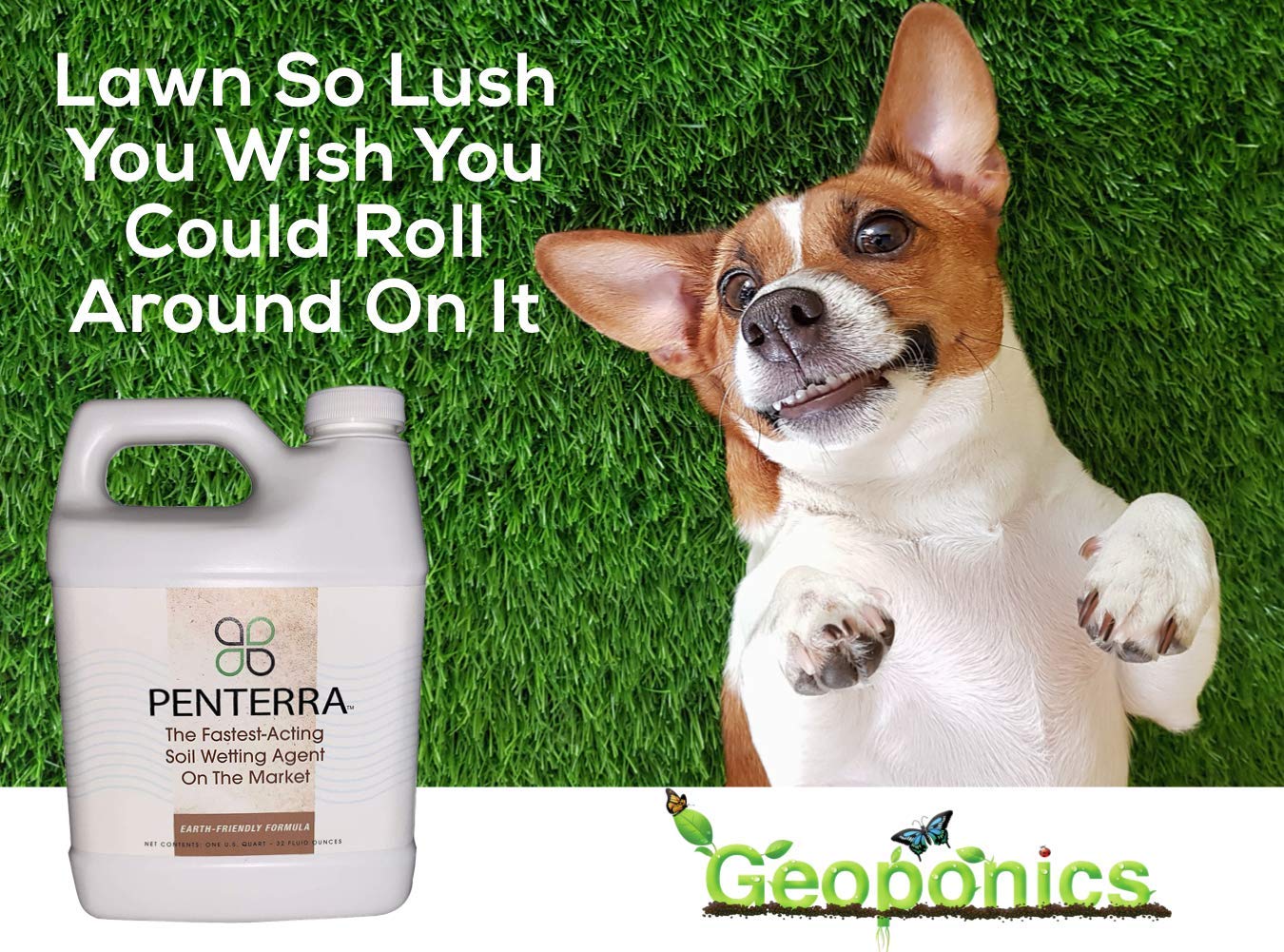 Buy Penterra Soil Penetrant and Wetting Agent – Promotes Water Movement ...