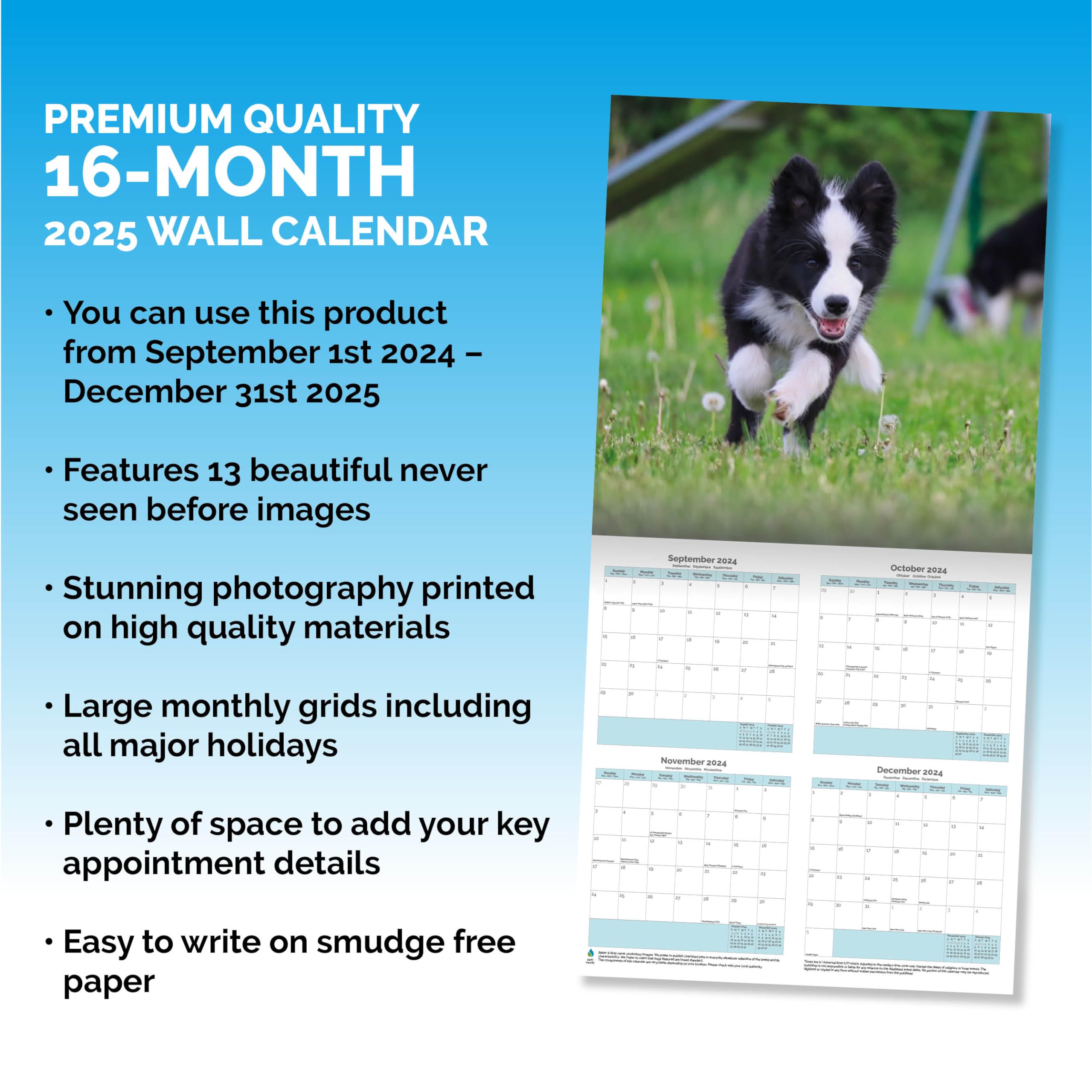Baker and Bray Border Collie Puppies Calendar 2025, Large Square Wall ...