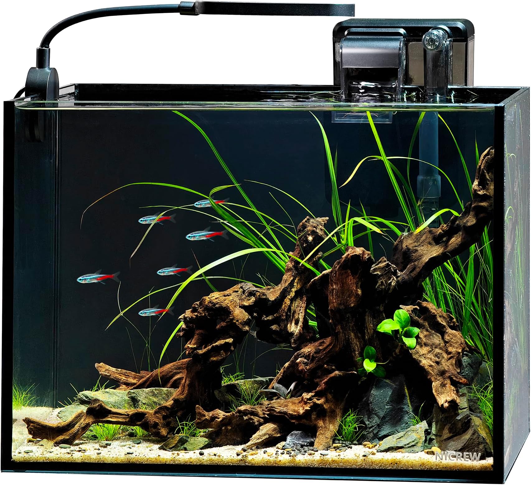 Amazon.com : Tetra 3 Gallon Fish Tank, Aquarium Starter Kit with ...