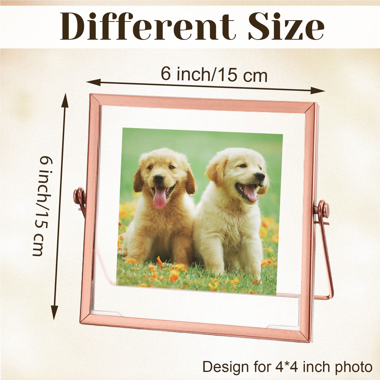 12 Pack Floating Gold Frame Glass Photo Frame Collection Vintage Metal ...