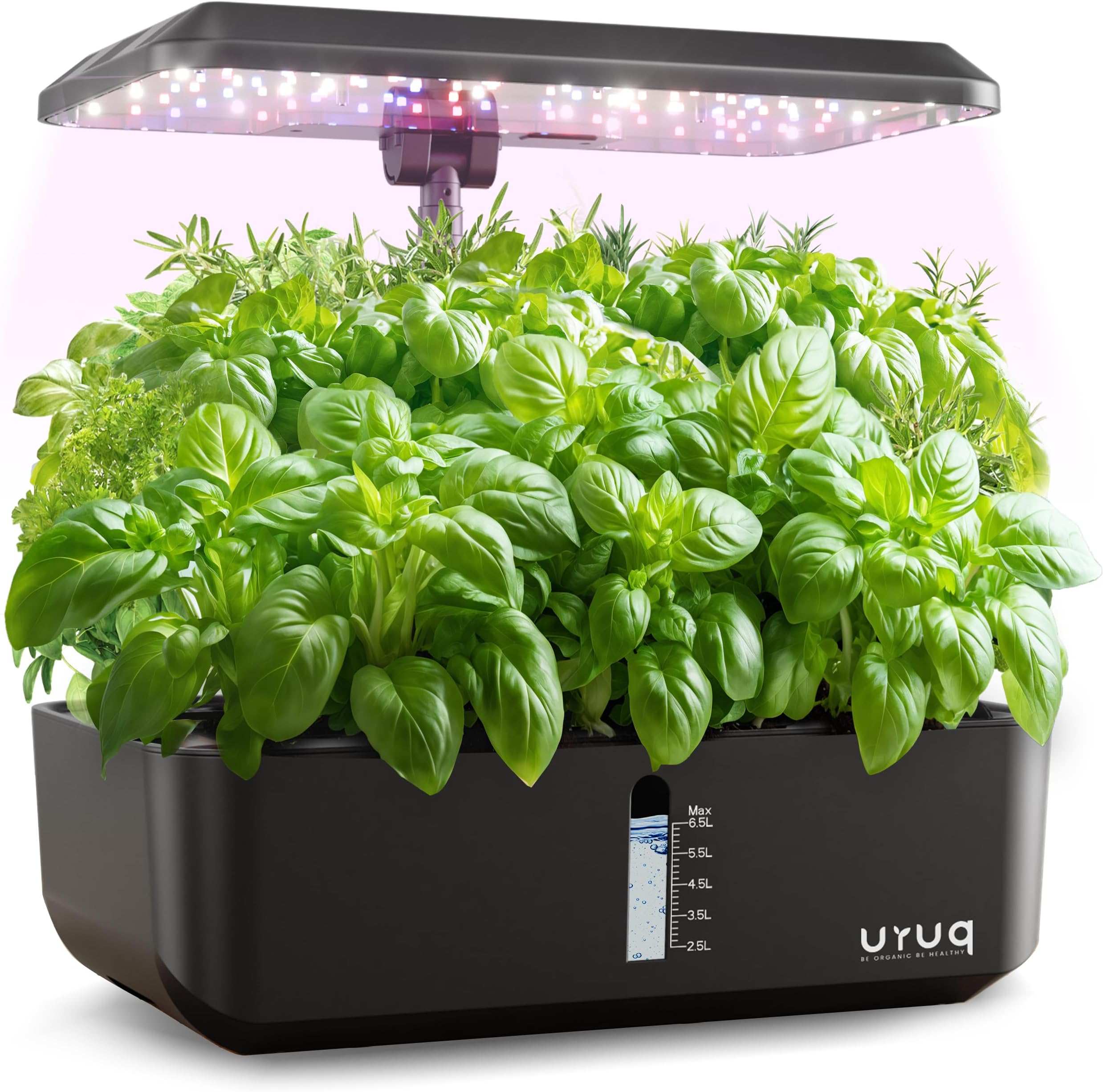 Amazon.com: RAINPOINT Hydroponics Growing System Kit &79pcs Seed Pods ...