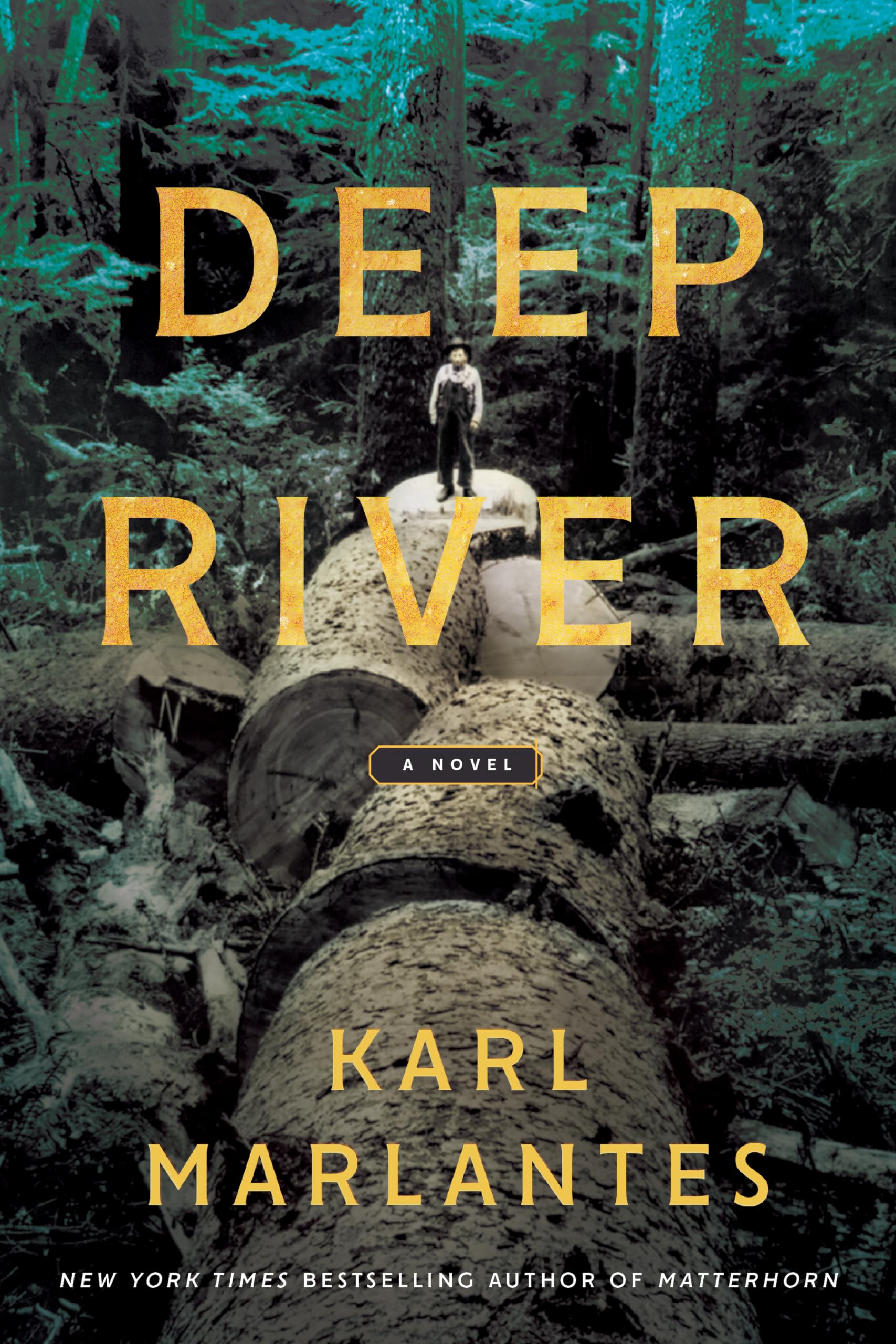 Amazon.com: Deep River: A Novel: 9780802125385: Marlantes, Karl: Books
