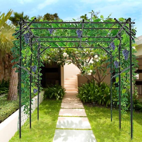 Amazon.com : UrGROWA 79'' L x 79'' W x 79'' H Large Tall Grape Vine ...