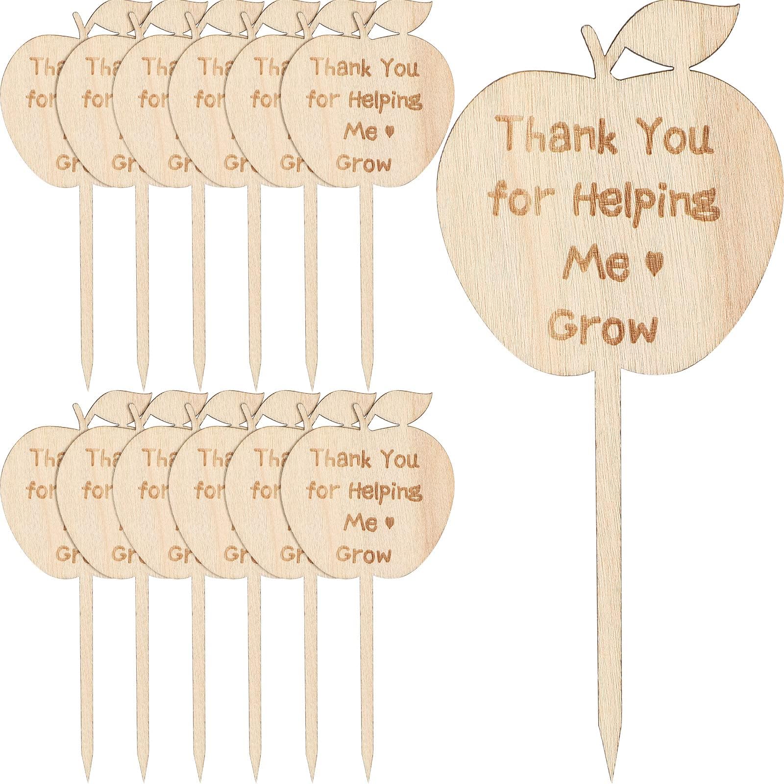 Amazon.com: 12 Pieces Thank You for Helping Me Grow Succulent Tags ...