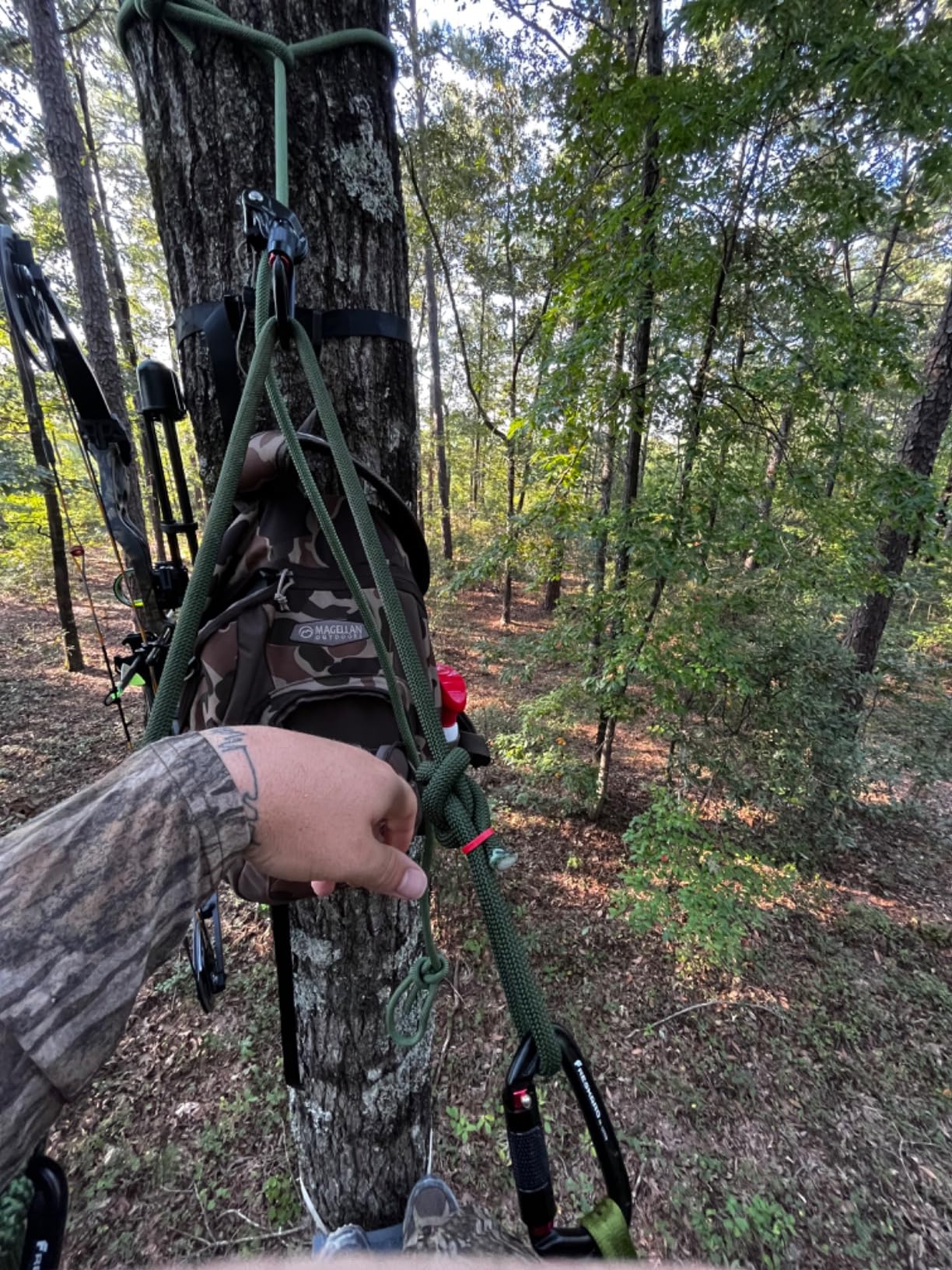 $9/mo - Finance Sylvan Rope Ascender Climbing Carabiner for Arborist ...