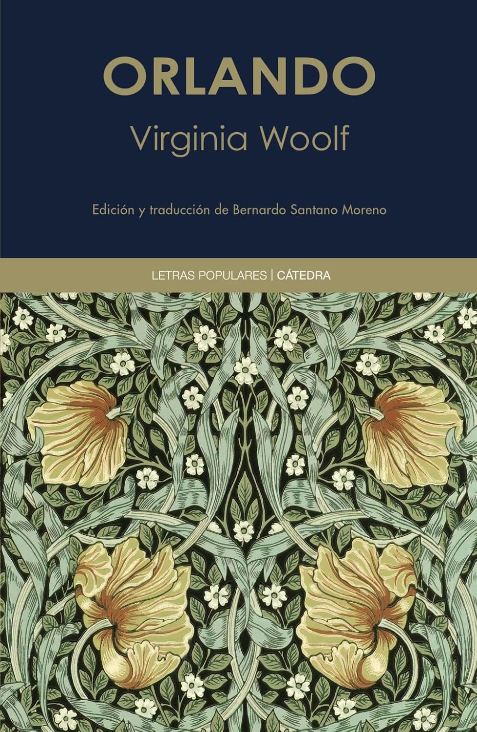 Orlando: Una biografía: Woolf, Virginia: 9788437648040: Amazon.com: Books