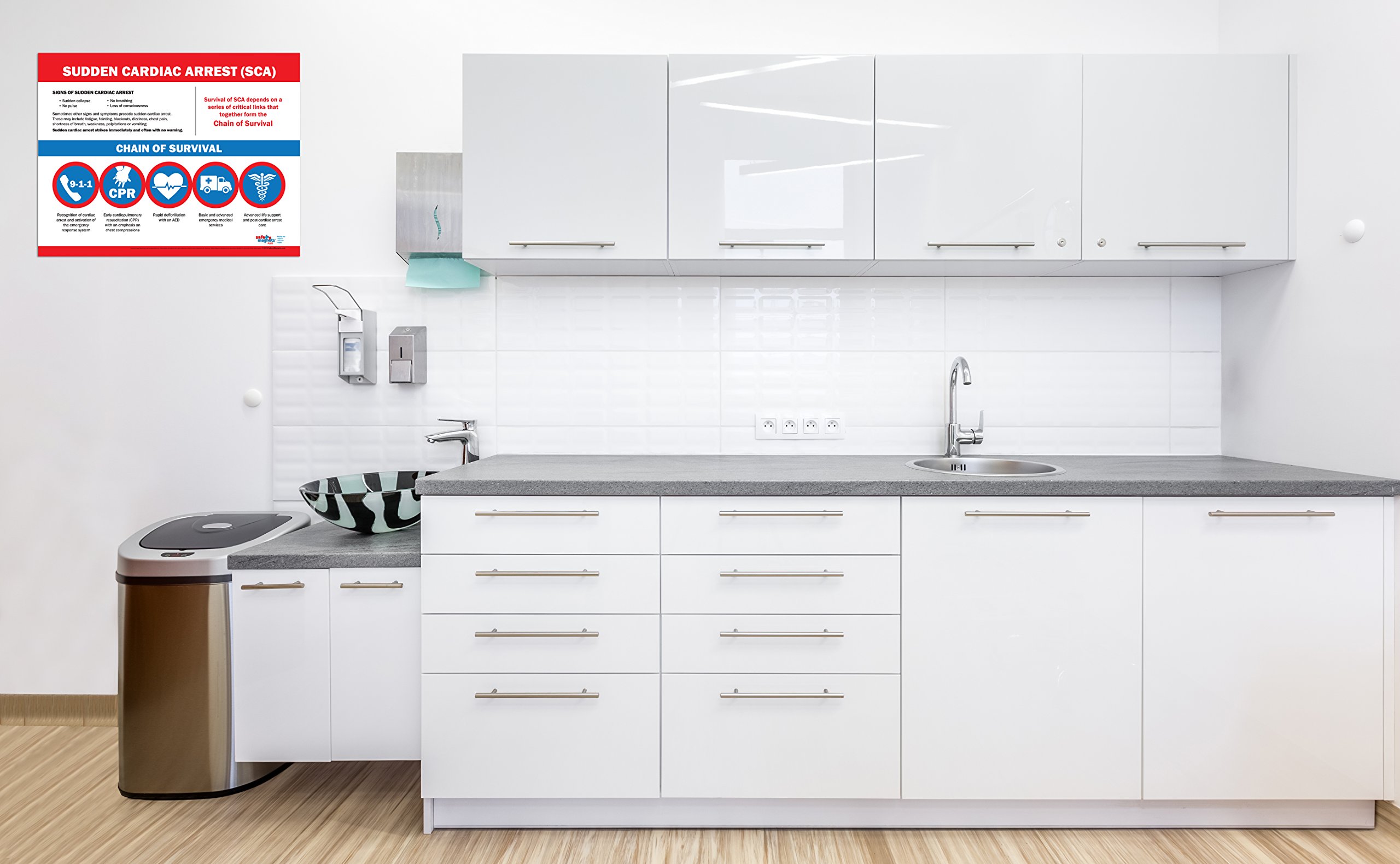 Sudden Cardiac Arrest Poster - Laminated, 17 x 22 in. - SCA Chain of ...