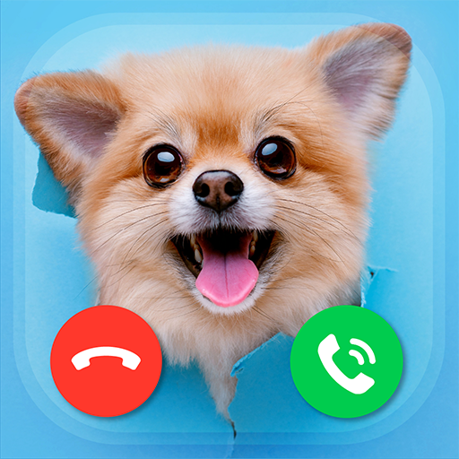 Fake Calls and Text: Dog Prank - App on the Amazon Appstore