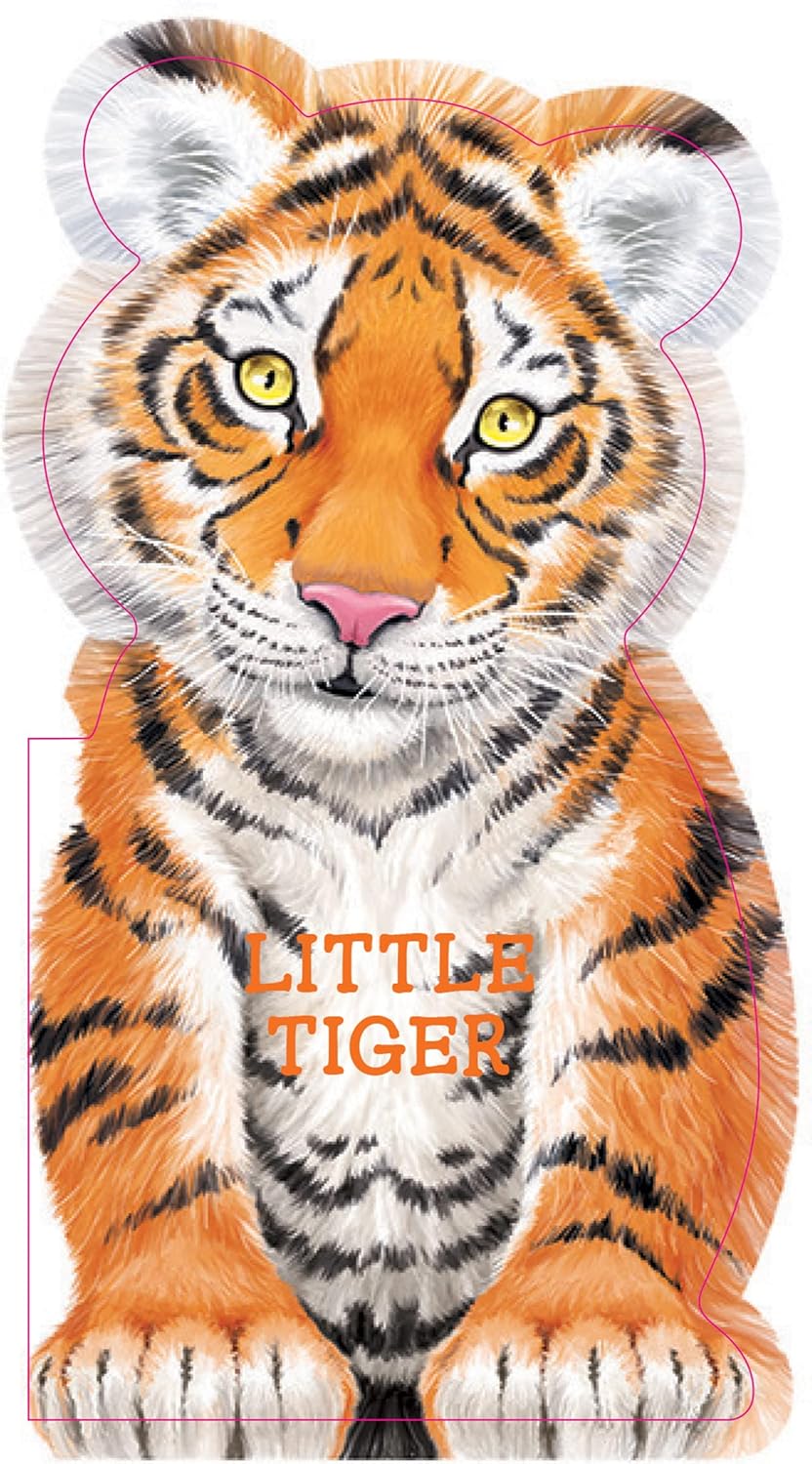 Little Tiger : Rigo, Laura: Amazon.ca: Books