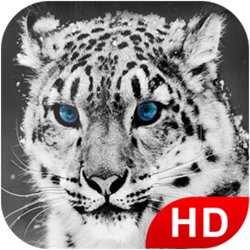 Animals HD Wallpapers 2018 - App on Amazon Appstore