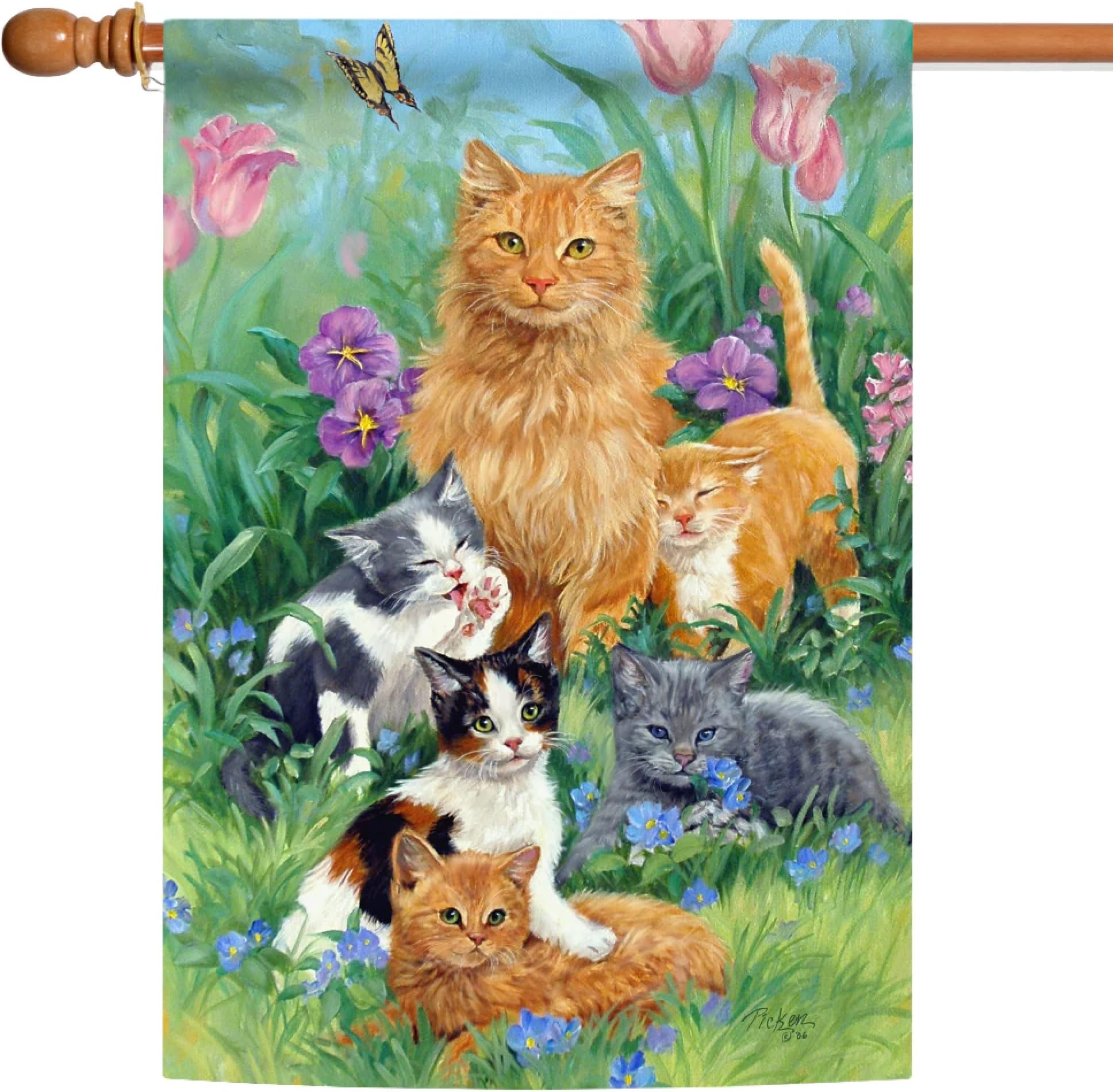 Amazon.com : Toland Home Garden 1112560 Hello Sunshine Spring Flag ...