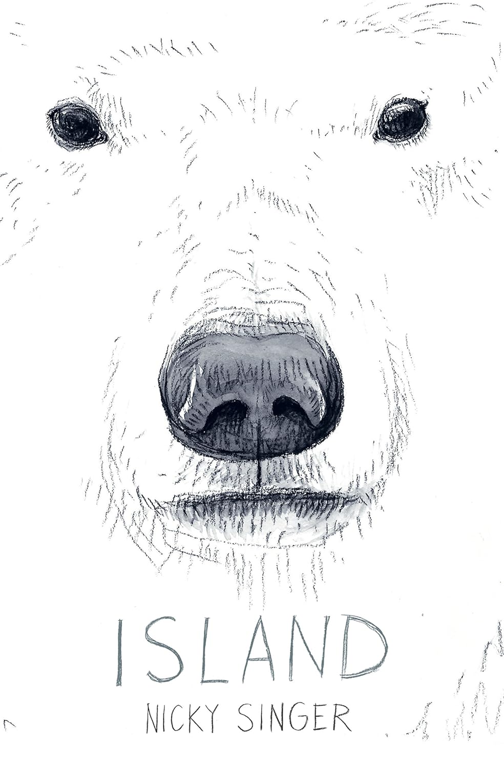 Island: Amazon.co.uk: Nicky Singer, Nicky Singer, Chris Riddell, Chris ...
