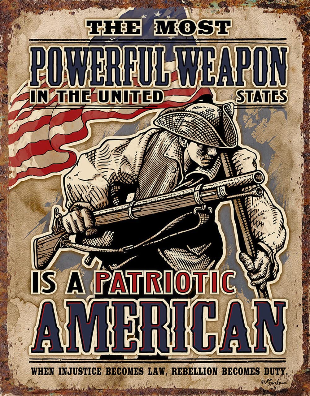 Amazon.com: Desperate Enterprises Patriotic American Tin Sign ...