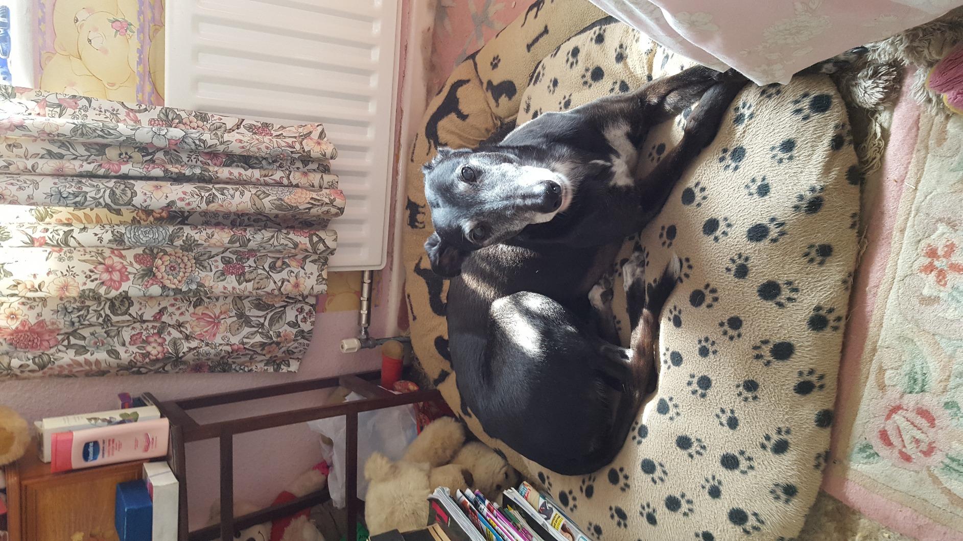 Omega Force: Revolution (OF9) eBook : Dalzelle, Joshua: Amazon.co.uk ...