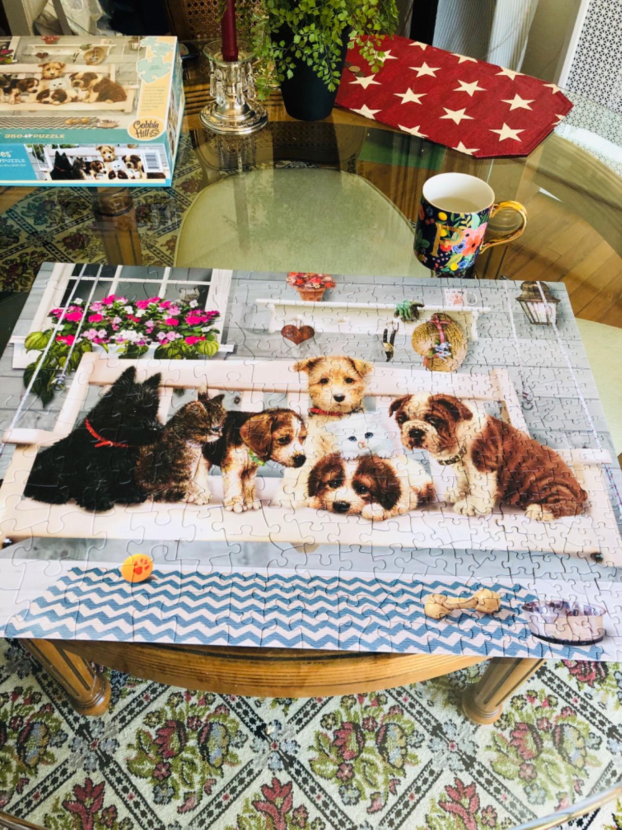 Amazon.com: Cobblehill 54602 Multi 350 Porch Pals Puzzle, Various ...