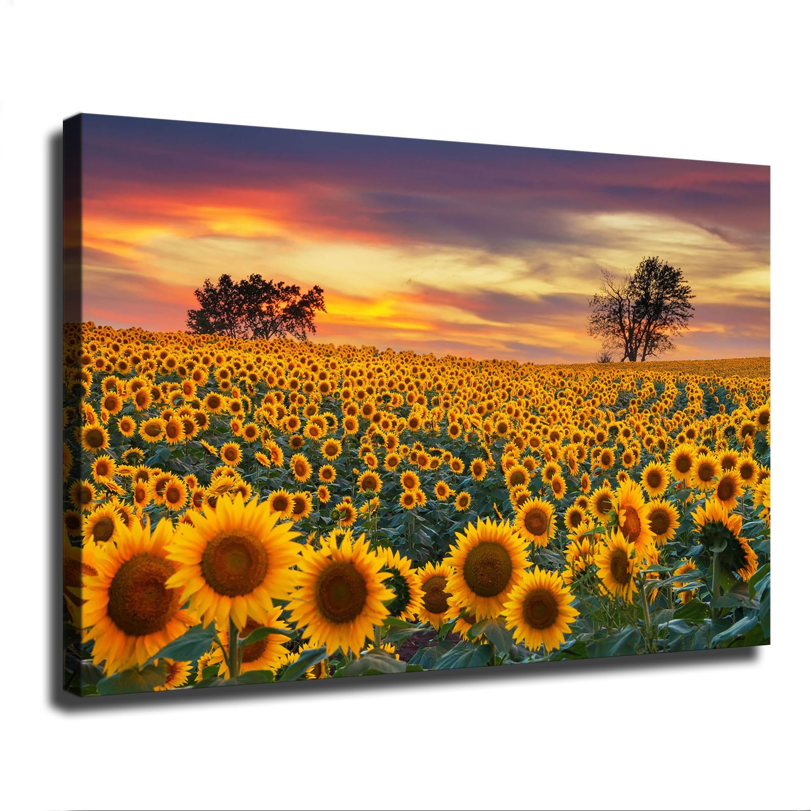 Poster Background Design Nature