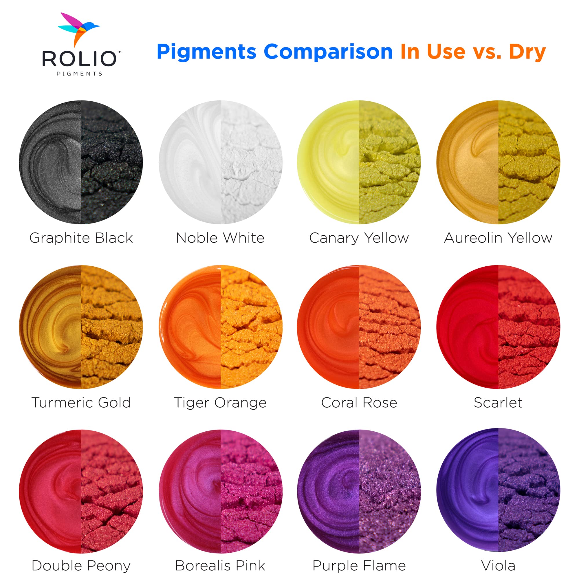 Snapklik.com : Rolio Mica Powder Pearlescent Color Pigment - 12 Jars ...