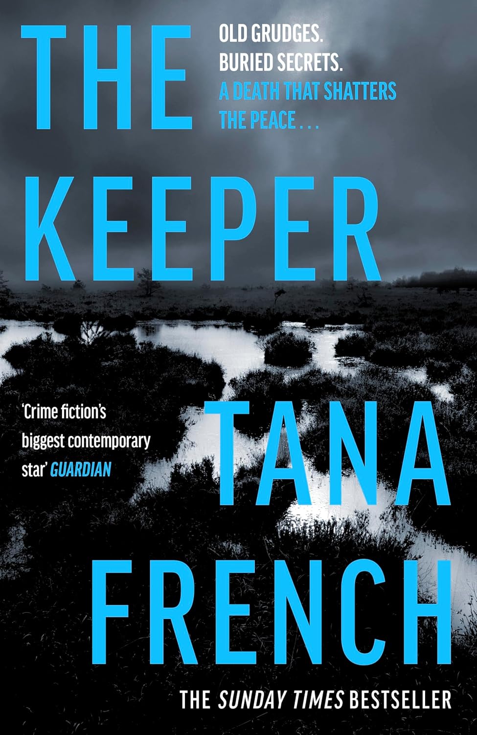 The Keeper: The page-turning new mystery from the Sunday Times ...