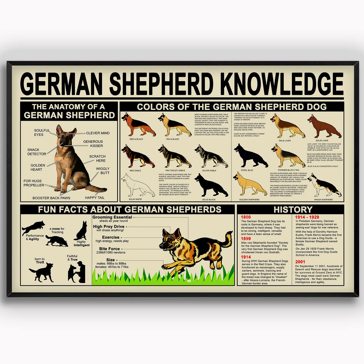 Are German Shepherds Used For Tracking