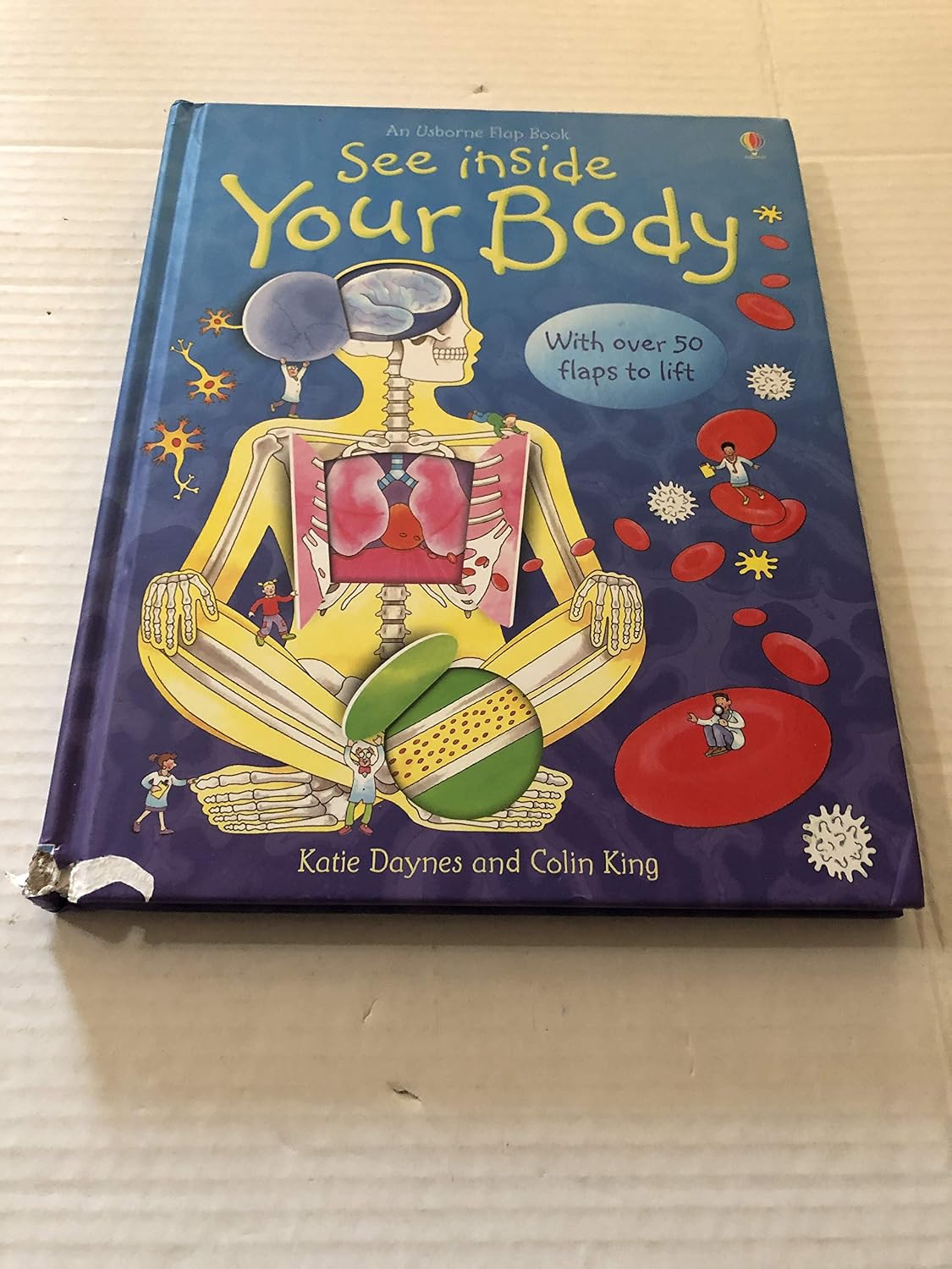 See Inside Your Body: Daynes, Katie, King, Colin, Armstrong, Carrie ...