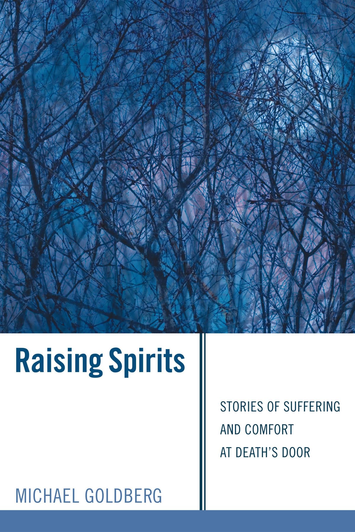 Raising Spirits: Stories of Suffering and Comfort at Death's Door ...