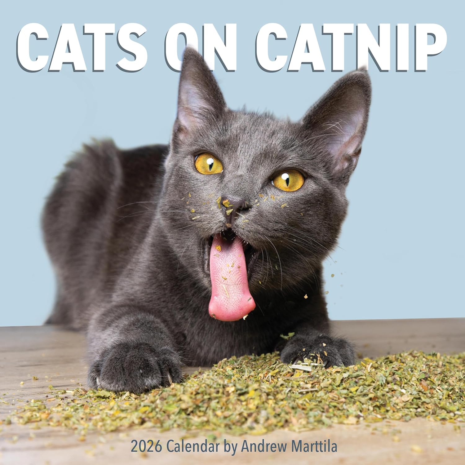 Amazon.com: Cats on Catnip Wall Calendar 2026: A Year of Cats Living ...