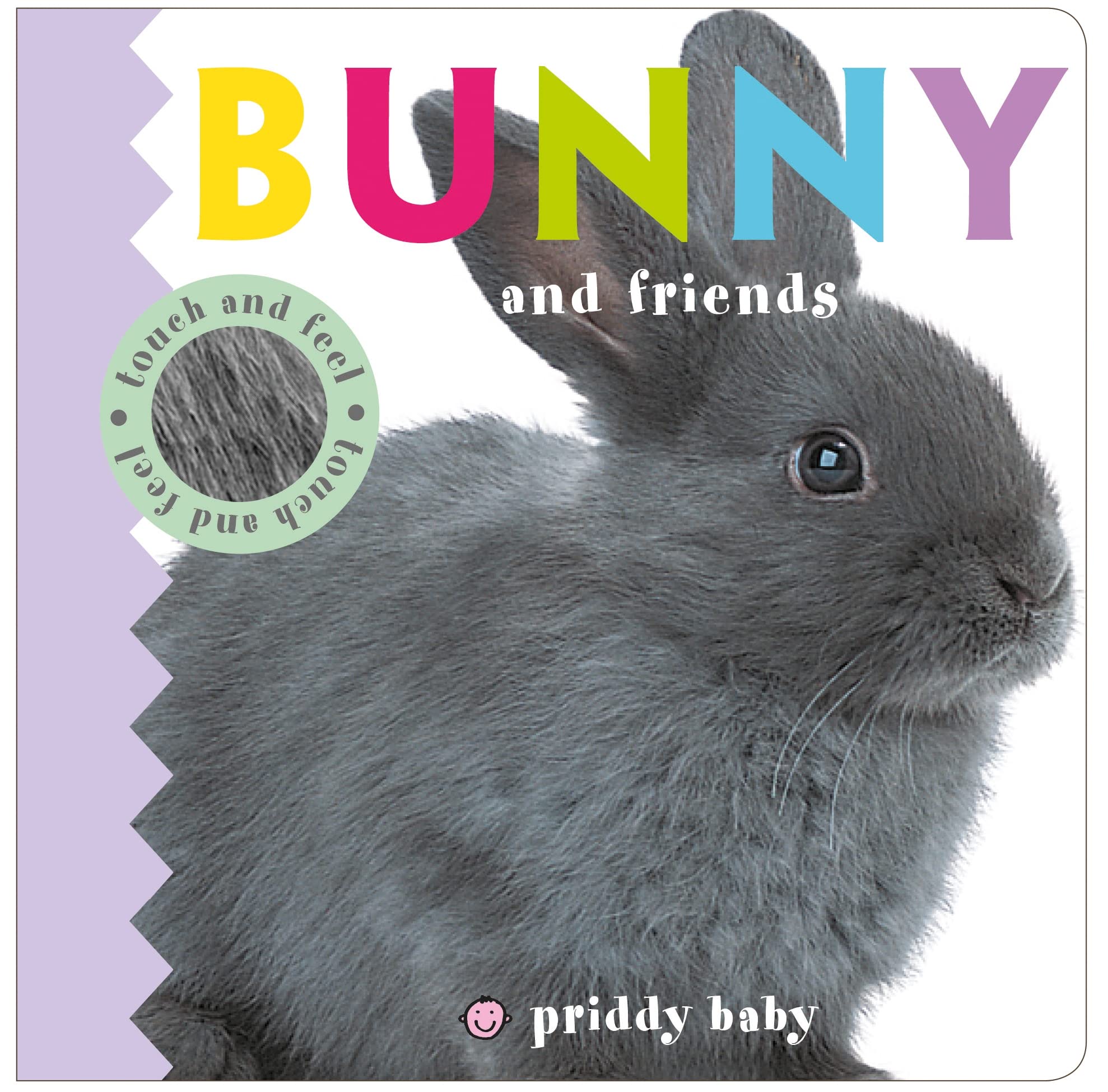 Amazon.com: Bunny and Friends Touch and Feel (Baby Touch and Feel ...