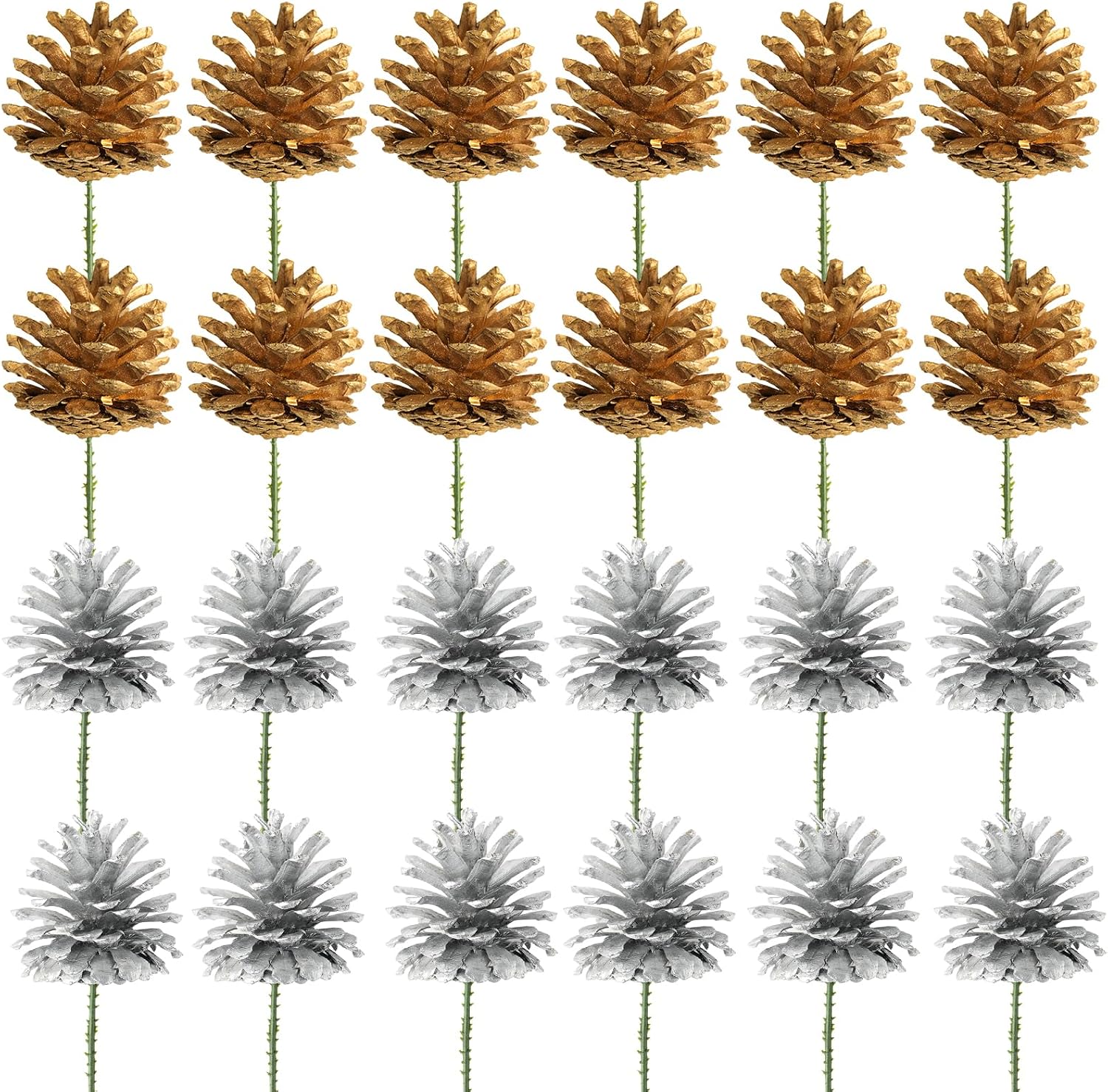 Amazon.com: Songjum 24PCS Natural Christmas Pine Cones Gold Silver Pine ...