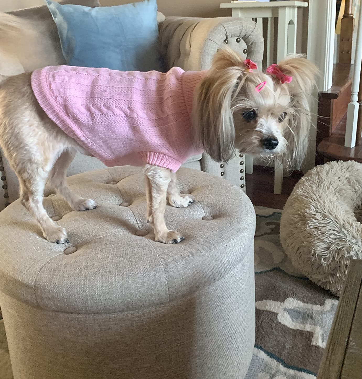 $3/mo - Finance Stinky G Turtleneck Dog Sweater | Buy Now, Pay Later