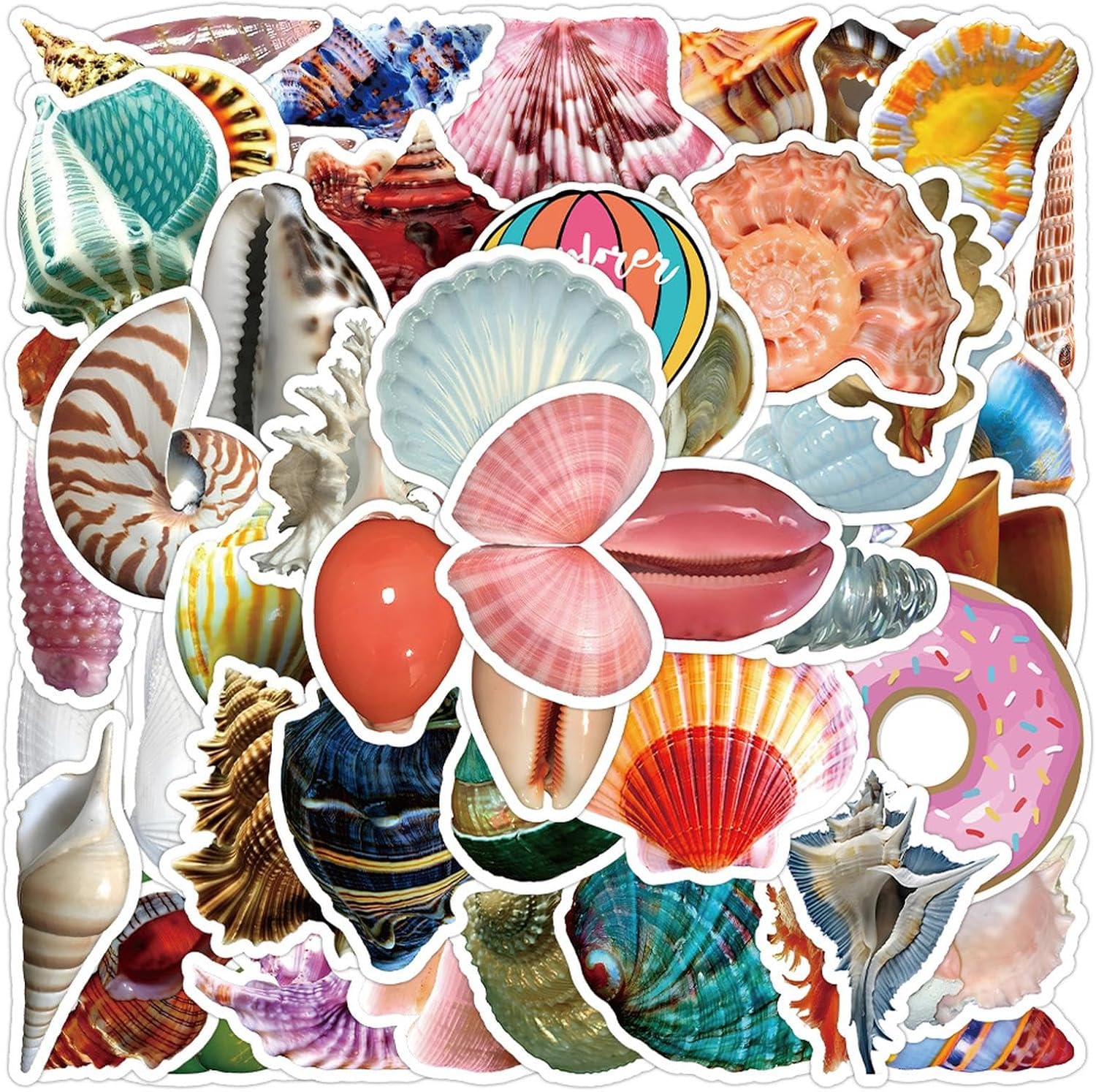 Amazon.com: 50pcs Cute Seashell Stickers for Water Bottles, Conch Shell ...