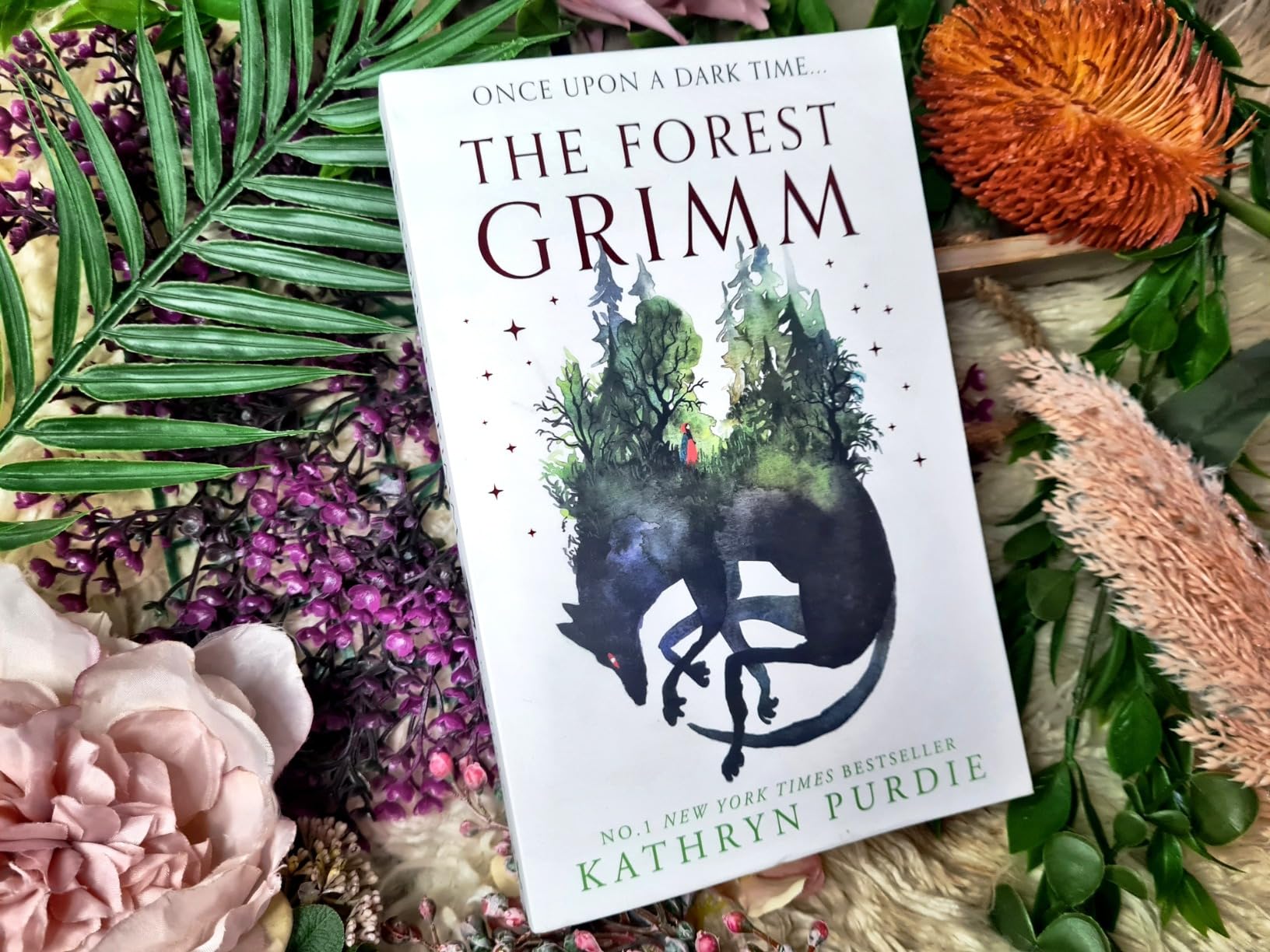 The Forest Grimm: A spellbinding new YA fairytale from #1 New York ...