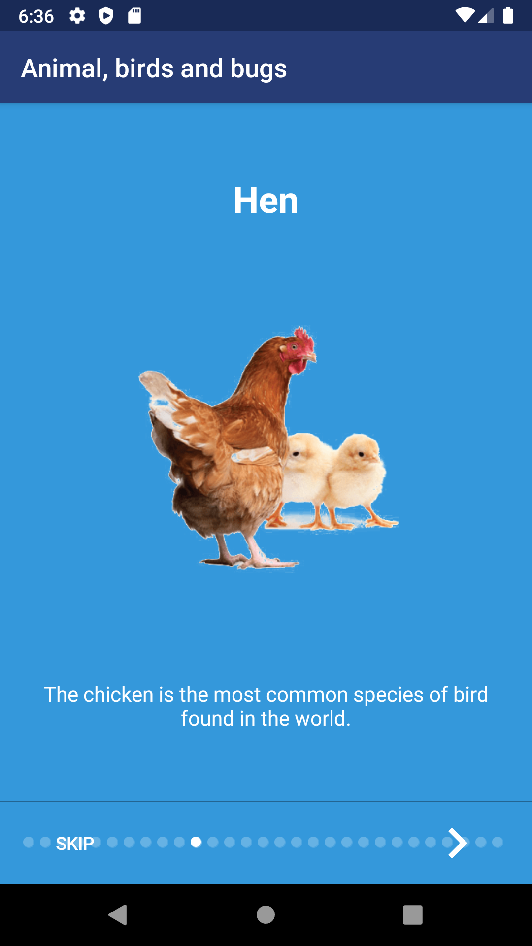 Animals, Birds and Bugs Introduction | Spelling sound and vocabulary of ...