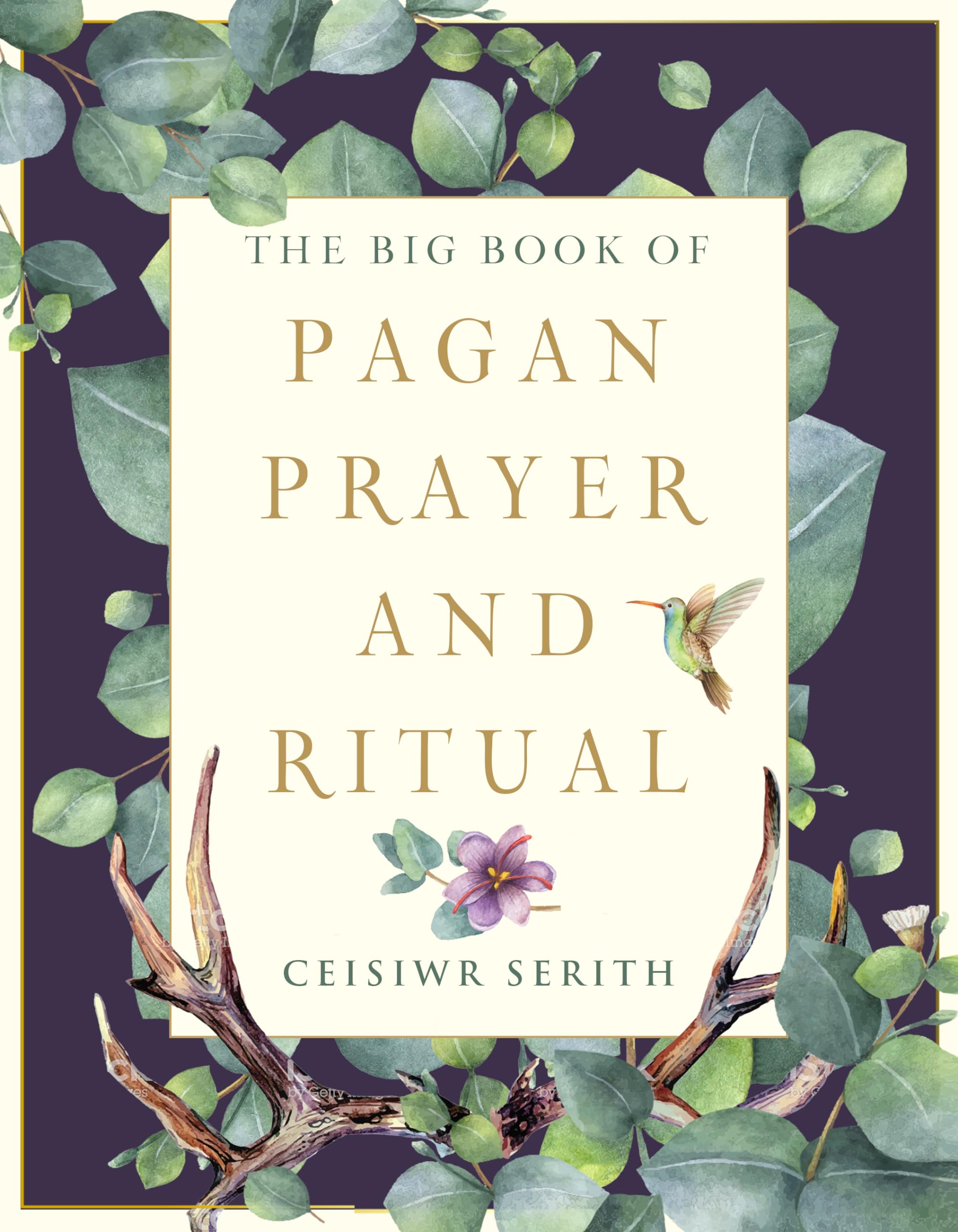 The Big Book of Pagan Prayer and Ritual (Weiser Big Book Series ...