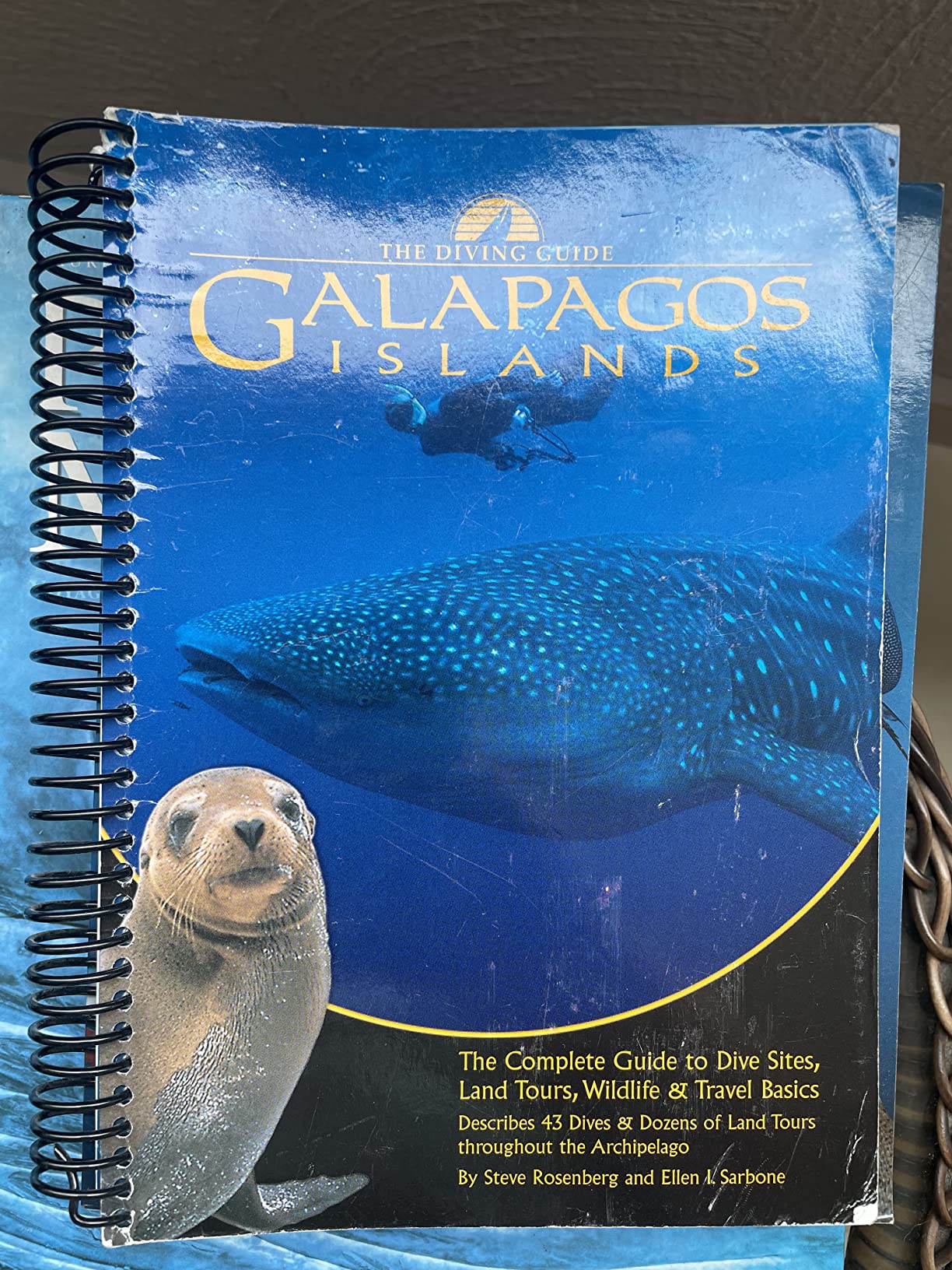 The Diving Guide: Galapagos Islands: Rosenberg, Steve, Sarbone, Ellen I.: 9780944428702: Amazon ...